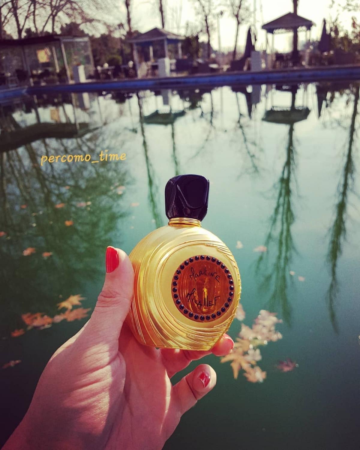 Mon Parfum Gold M. Micallef parfum - un parfum pour femme 2014