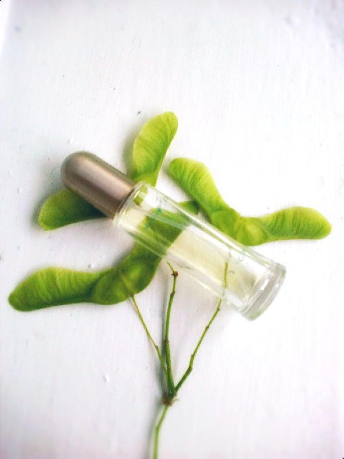 Spring Fever Origins perfume - a fragrância Feminino 1995