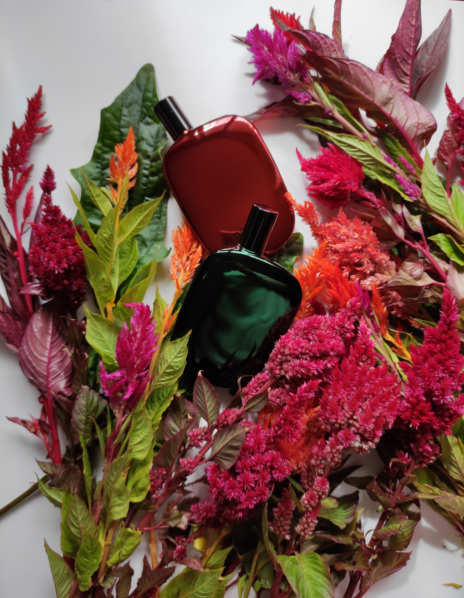Floriental Comme des Garcons fragancia - una fragancia para Hombres y ...