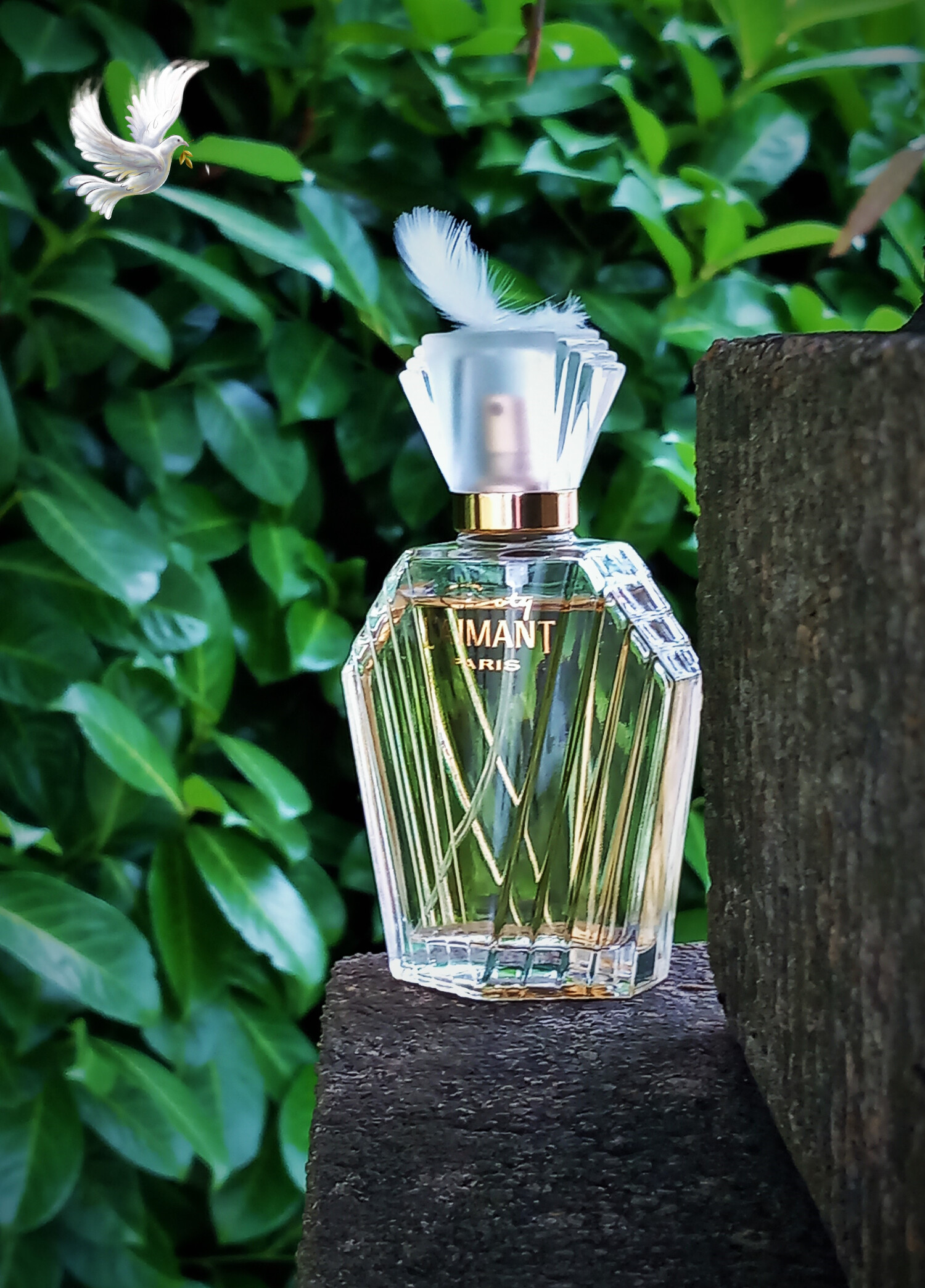 L'Aimant Coty fragancia - una fragancia para Mujeres 1927