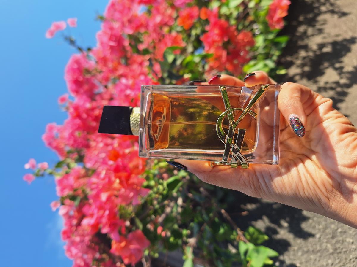Libre Intense Yves Saint Laurent perfume - a fragrância Feminino 2020