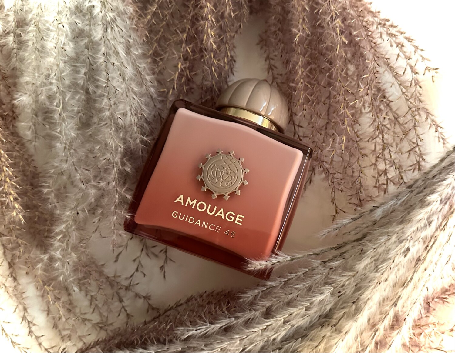 Guidance 46 Amouage perfume - a novo fragrância Compartilhável 2024