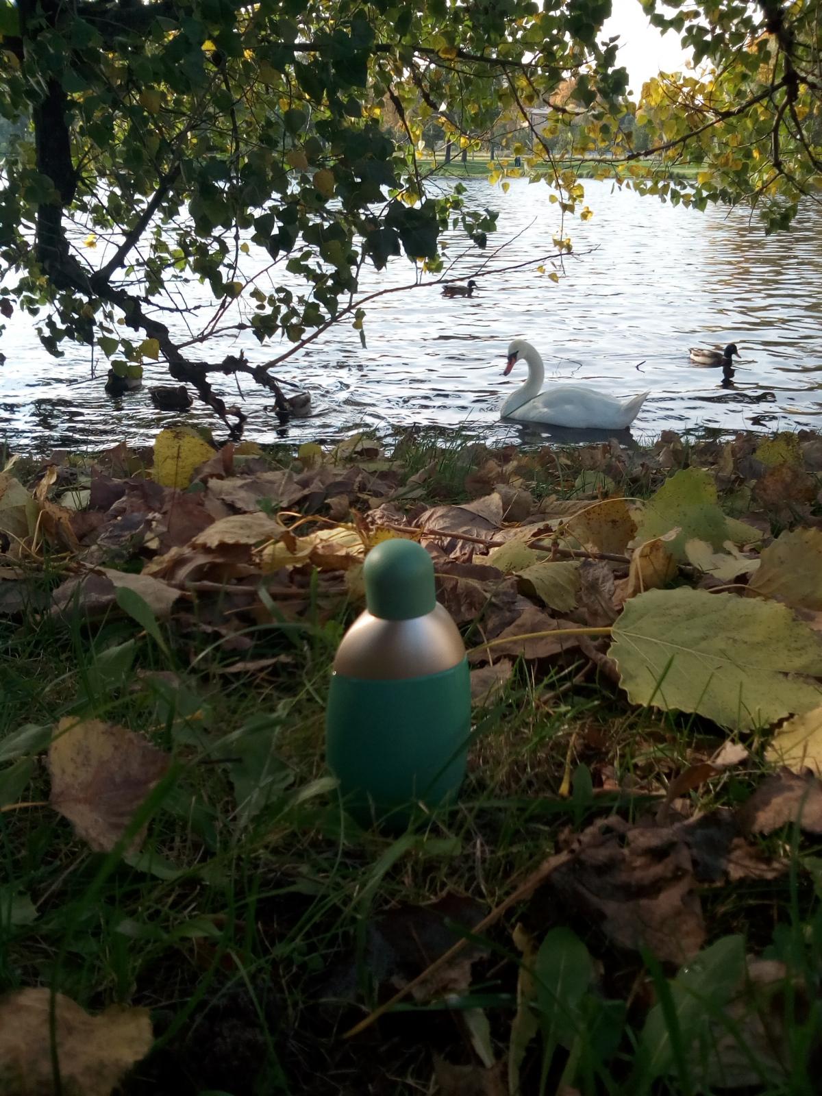 Eden Cacharel perfume - a fragrância Feminino 1994