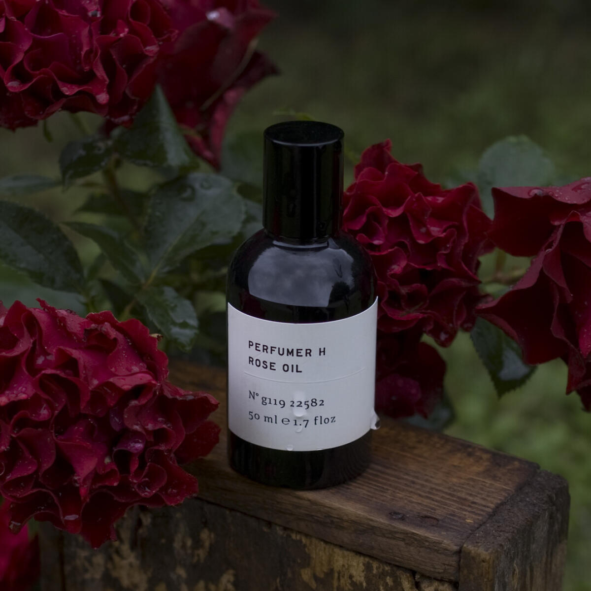 Rose Perfumer H parfum - een geur voor dames 2015