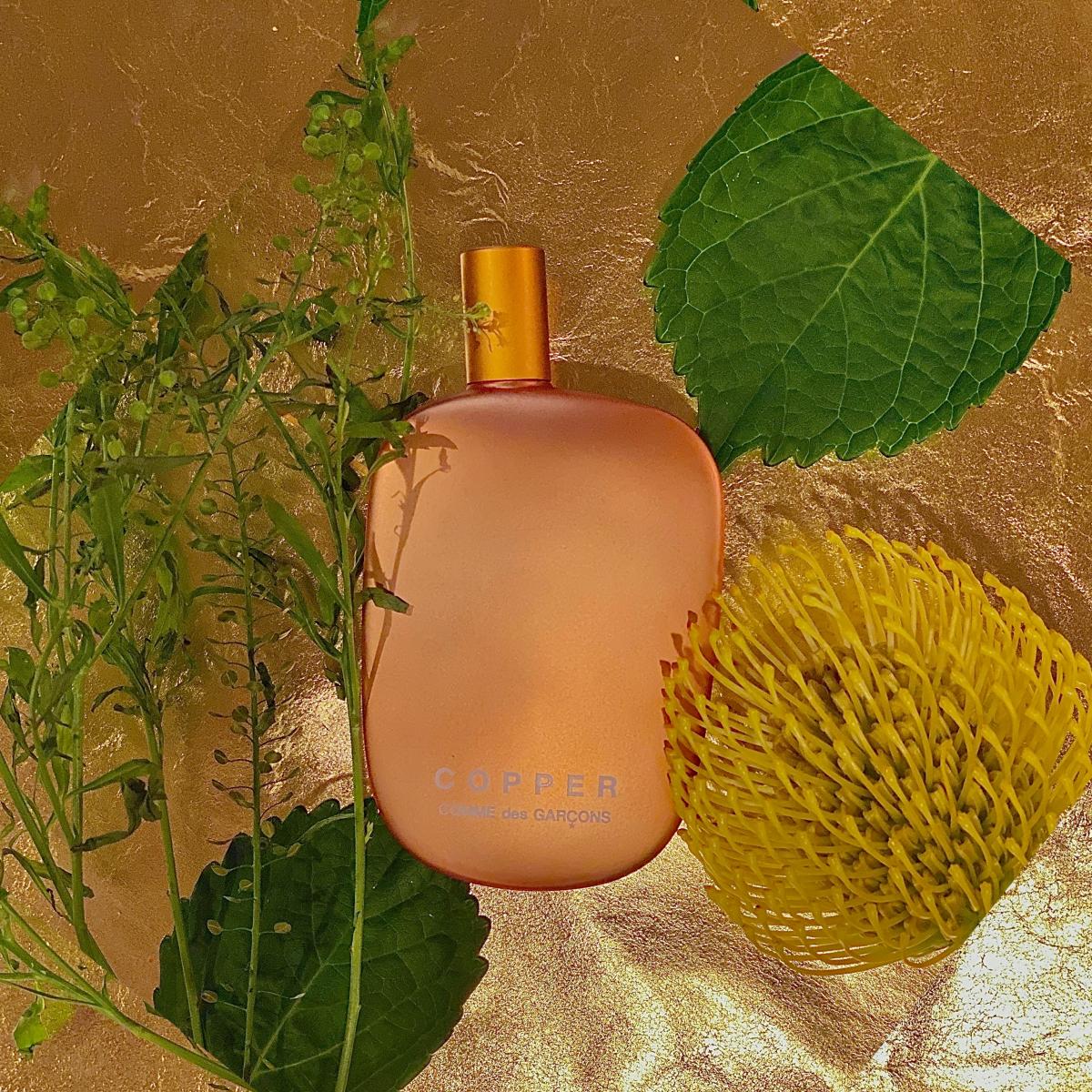 Copper Comme des Garcons عطر - a fragrance للجنسين 2019
