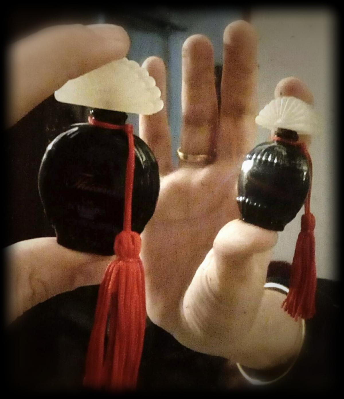 Theosiris Extreme Guy Bouchara Parfum - ein es Parfum für Frauen