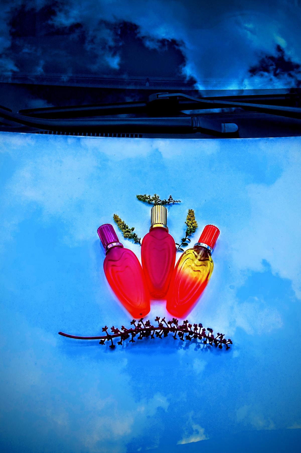 Sunset Heat Escada fragancia - una fragancia para Mujeres 2007