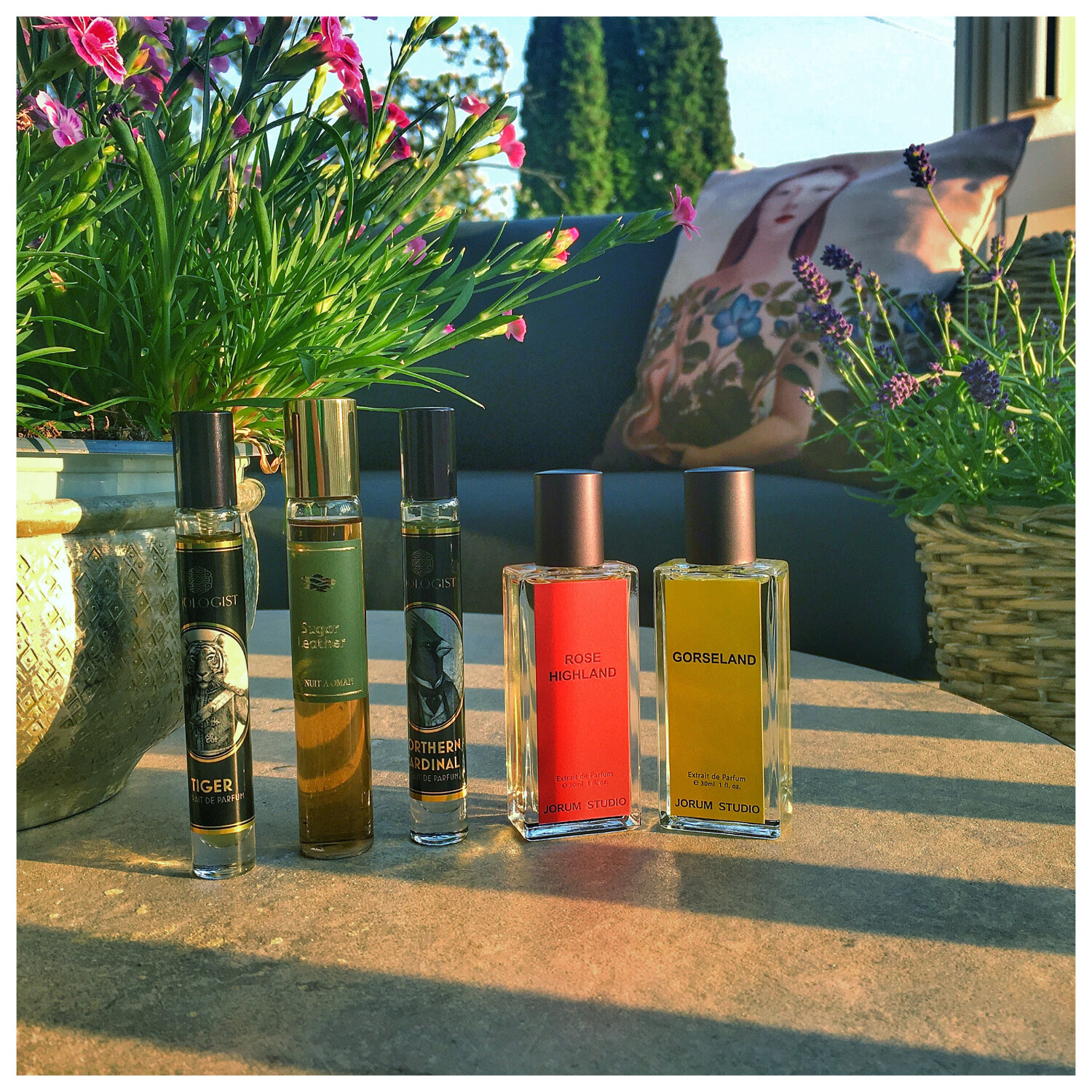 Northern Cardinal Zoologist Perfumes عطر - a جديد fragrance للجنسين 2022