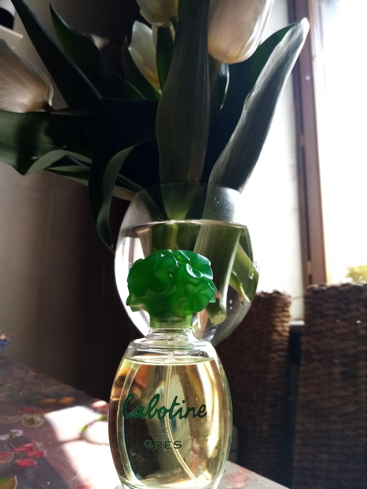 Cabotine Grès fragancia - una fragancia para Mujeres 1990