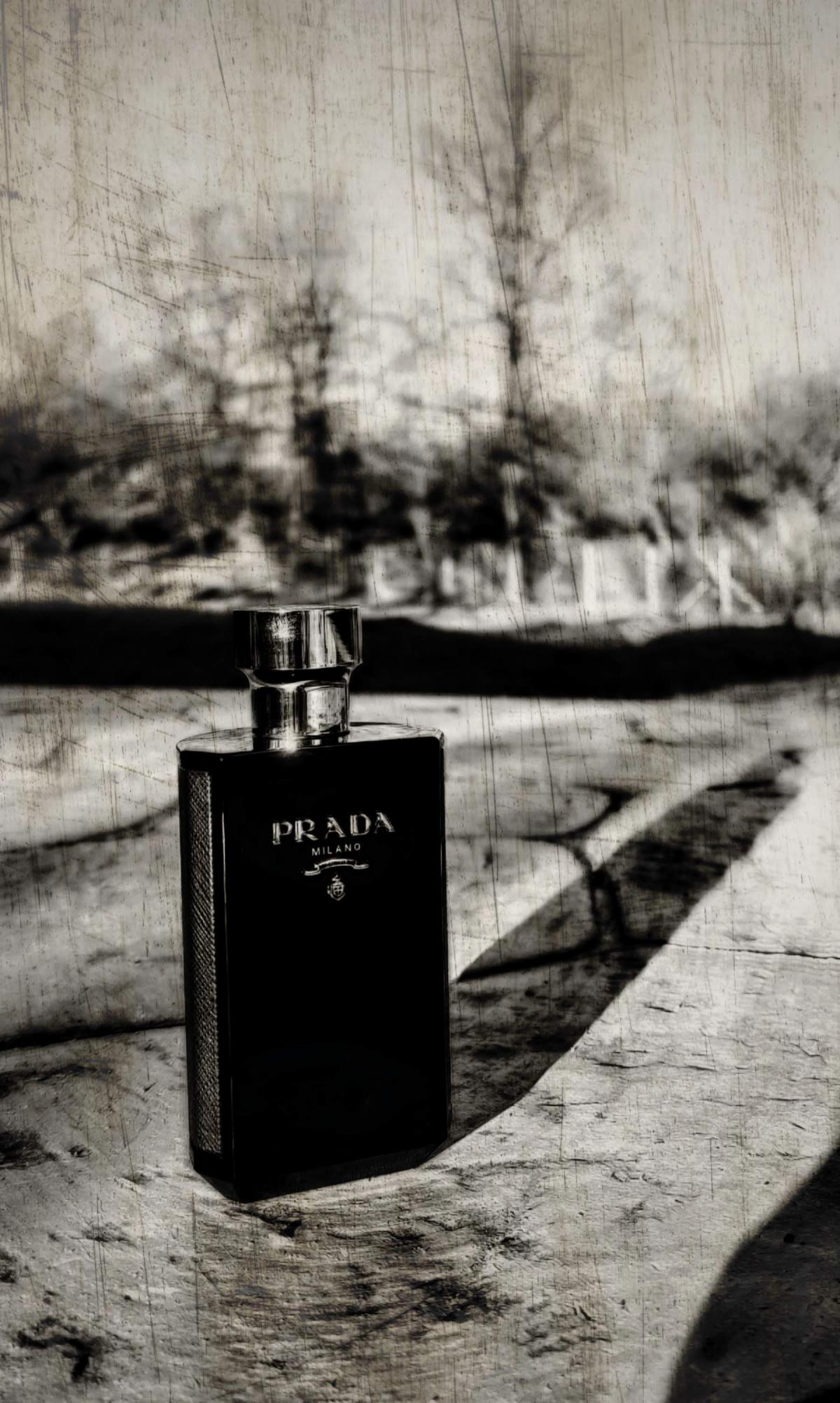 Prada L'Homme Intense Prada Colonia - una fragancia para Hombres 2017