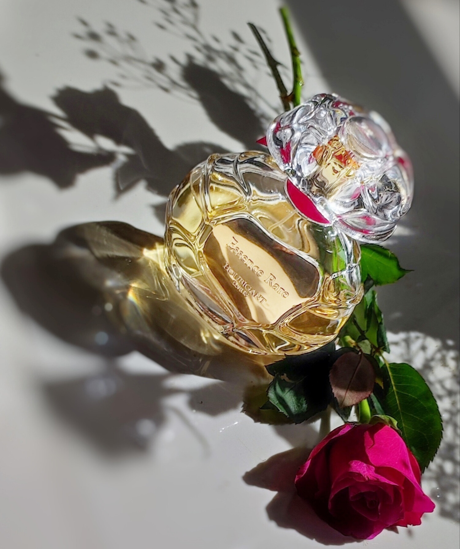 Essence Rare Houbigant perfume - a fragrância Feminino 2018