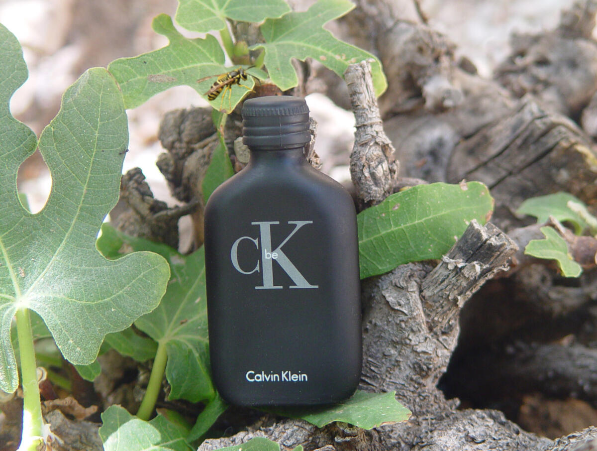 CK be Calvin Klein parfem - parfem za žene i muškarce 1996