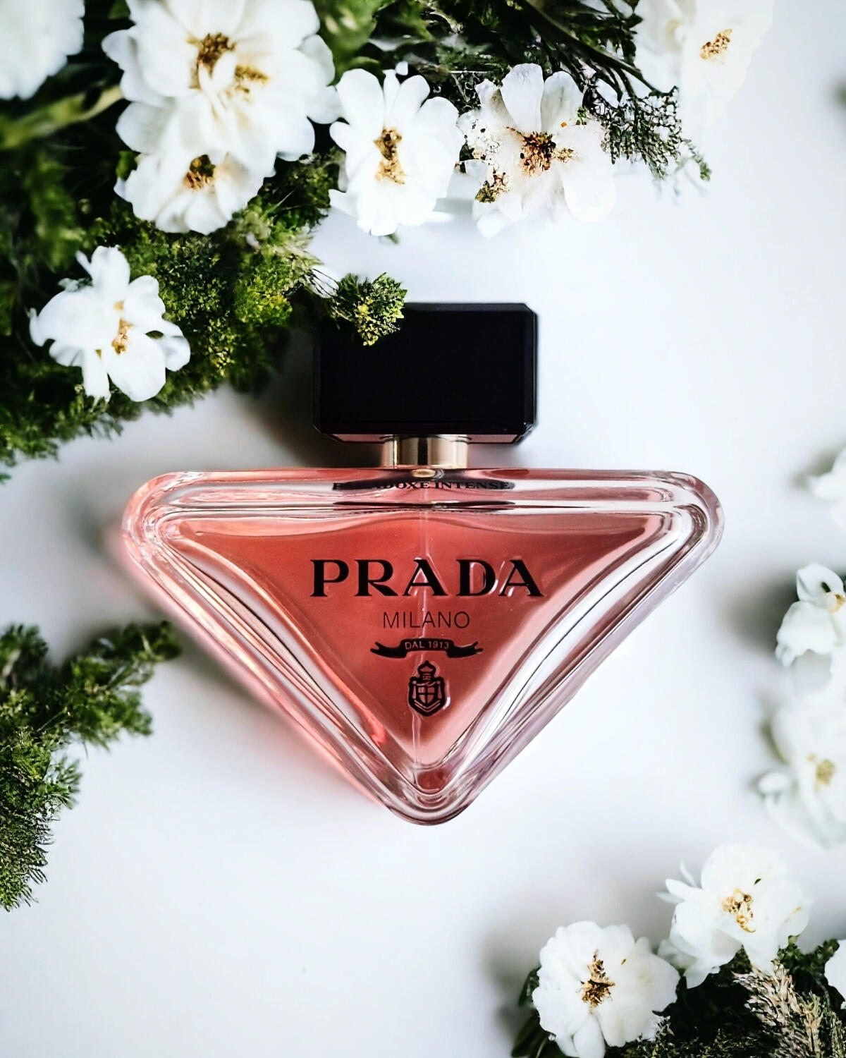 Prada Paradoxe Intense Prada - una novità fragranza da donna 2023