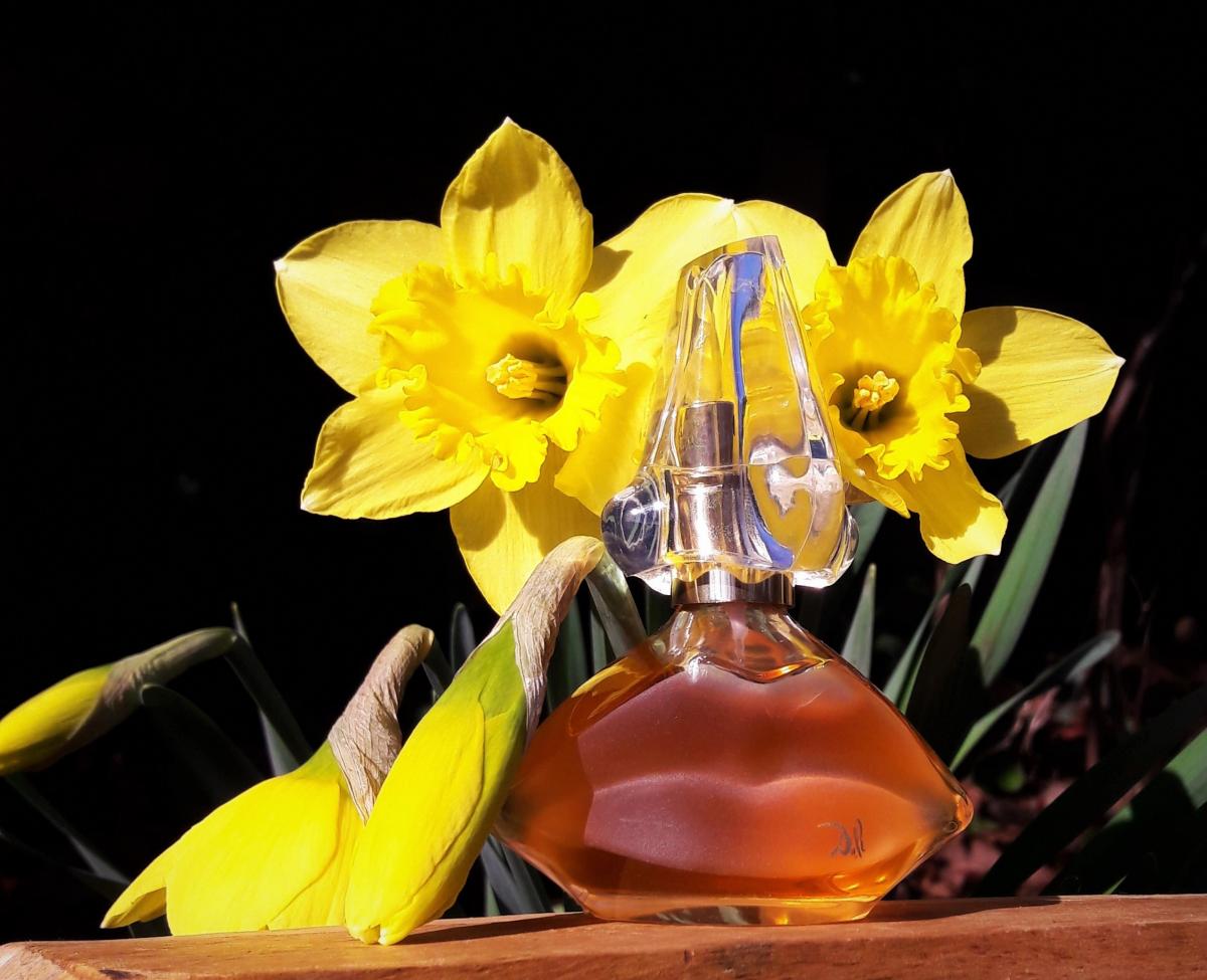 Dali Parfum de Toilette Salvador Dali άρωμα - ένα άρωμα για γυναίκες 1985