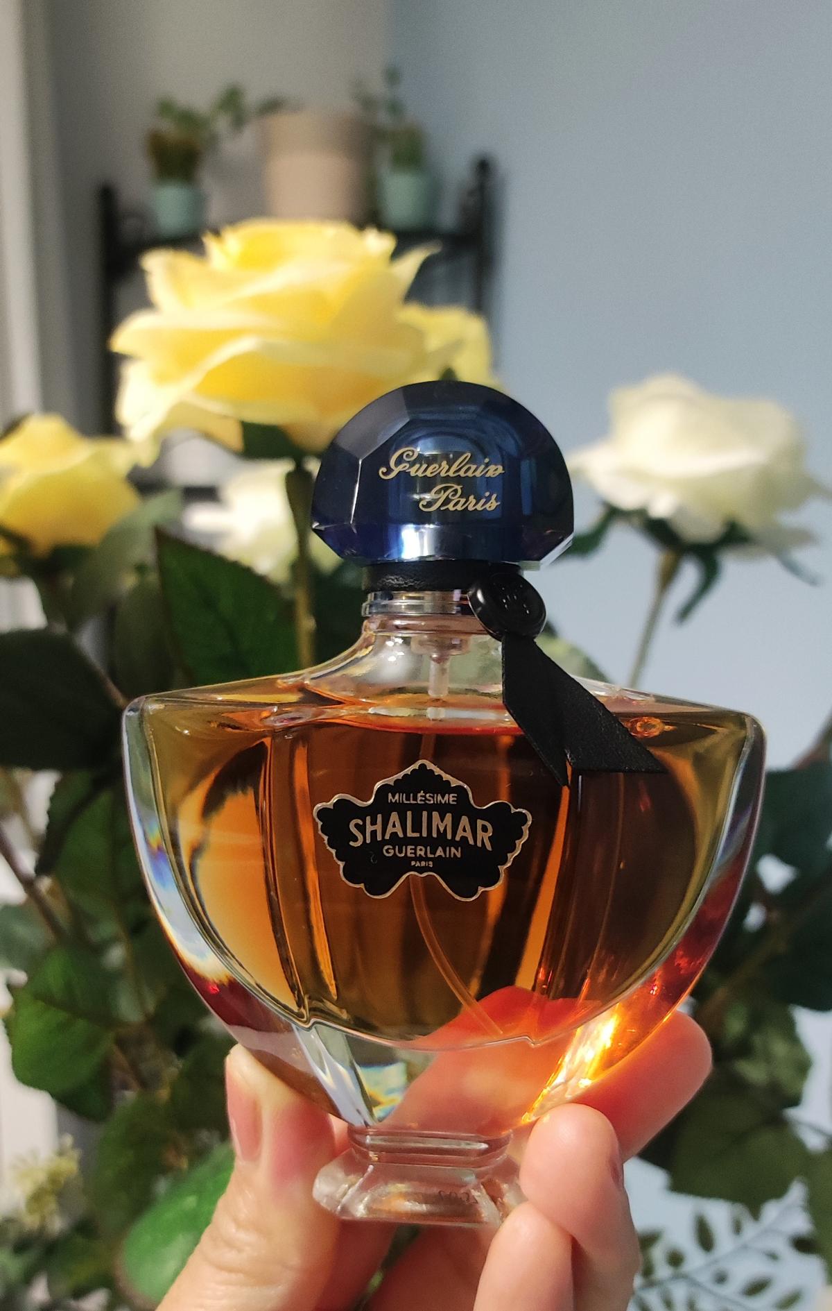 Shalimar Millésime Tonka Guerlain parfum - un nouveau parfum pour femme ...