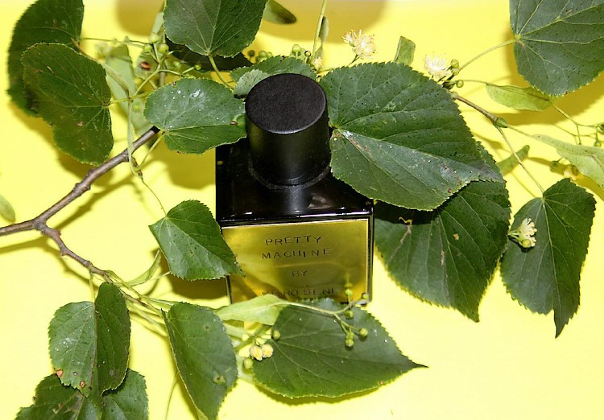 Pretty Machine Kerosene fragancia - una fragancia para Hombres y ...