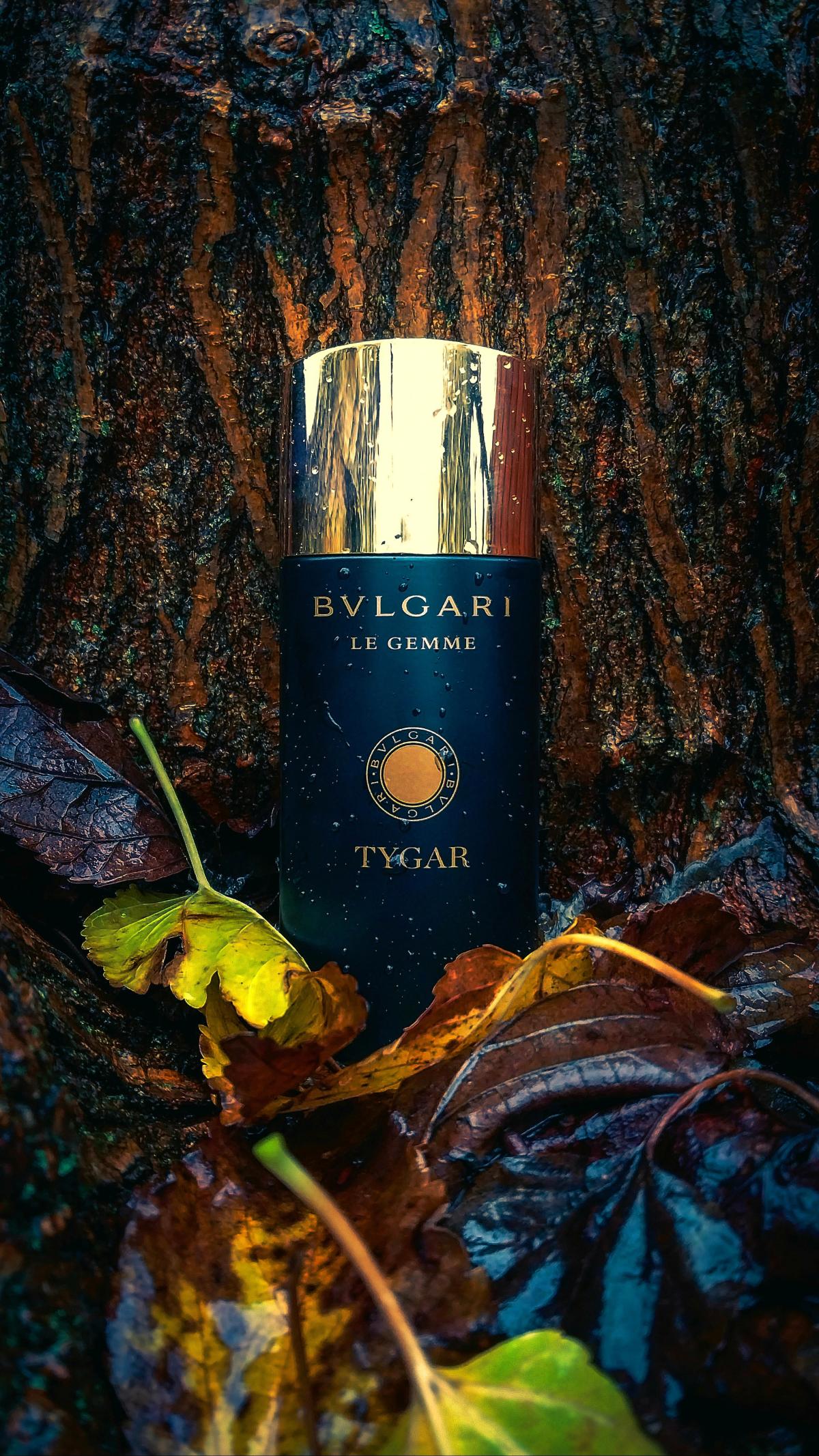 Tygar Bvlgari Colonia - una fragancia para Hombres 2016