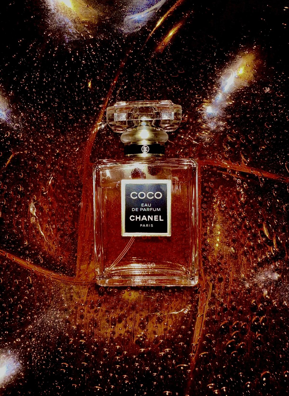 Coco Eau de Parfum Chanel perfume - a fragrância Feminino 1984