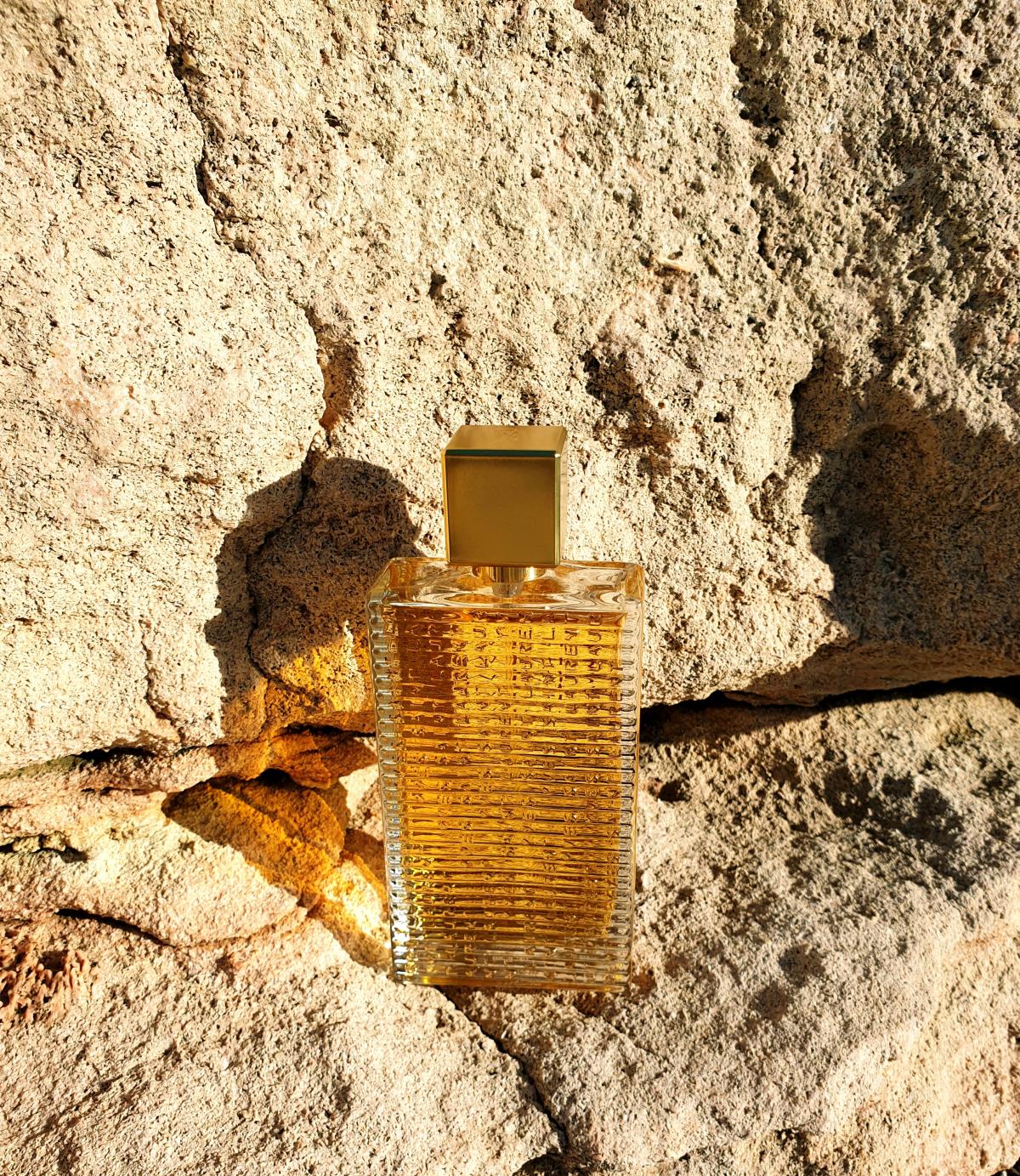 Cinéma Yves Saint Laurent άρωμα - ένα άρωμα για γυναίκες 2004