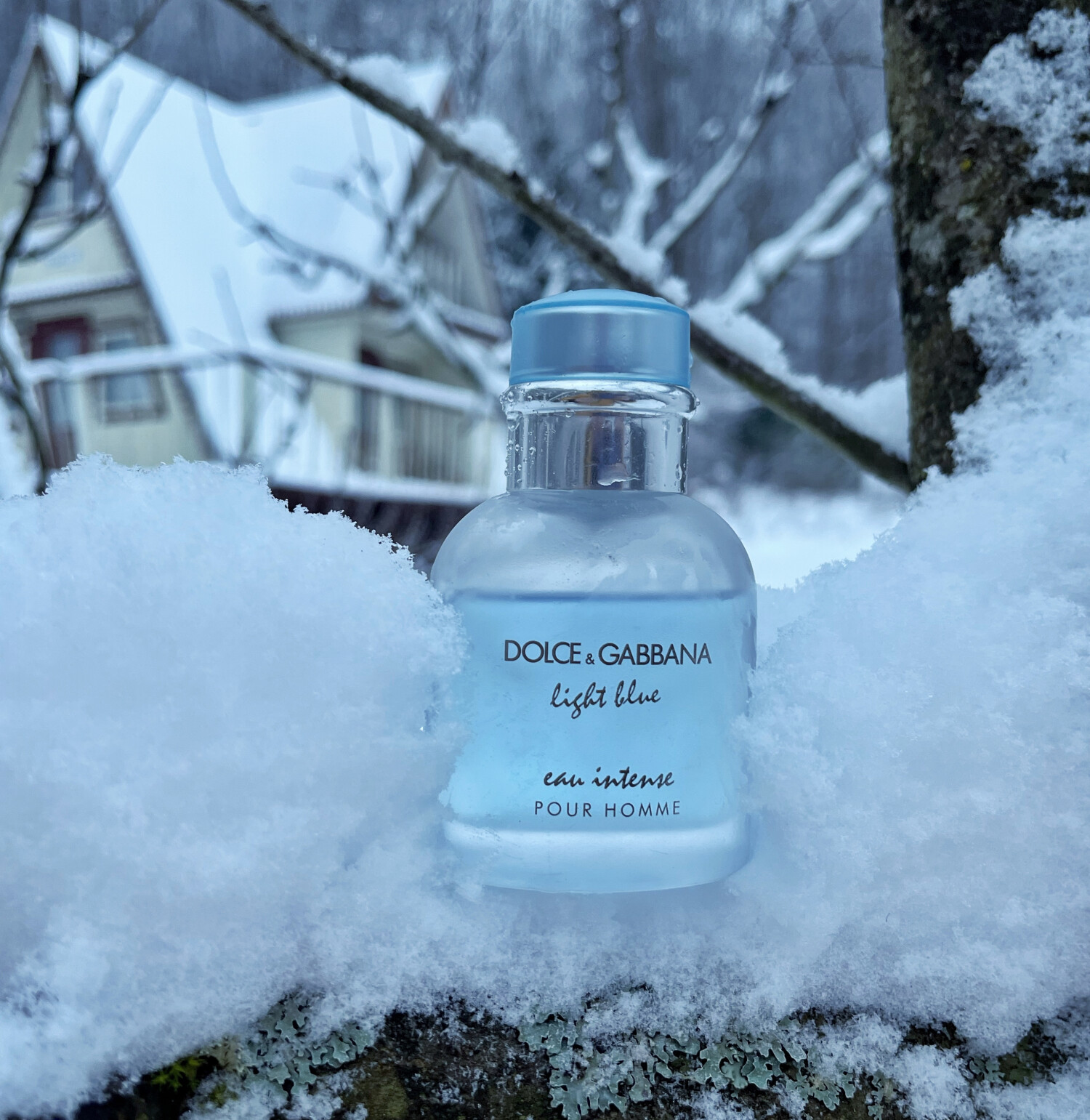 Light Blue Eau Intense Pour Homme Dolce&Gabbana Colônia - a fragrância ...