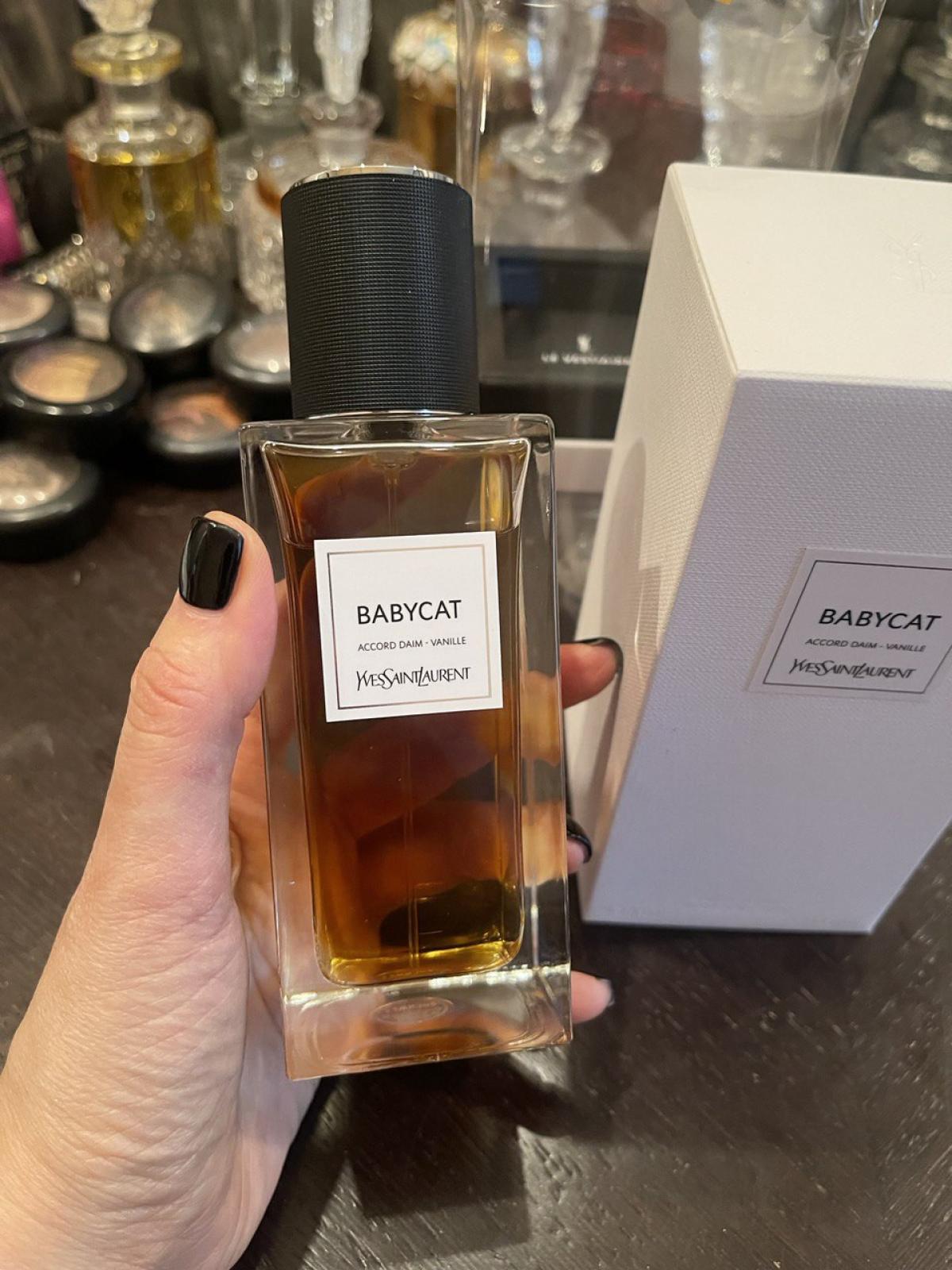 Babycat Yves Saint Laurent Parfum - ein neues Parfum für Frauen und ...