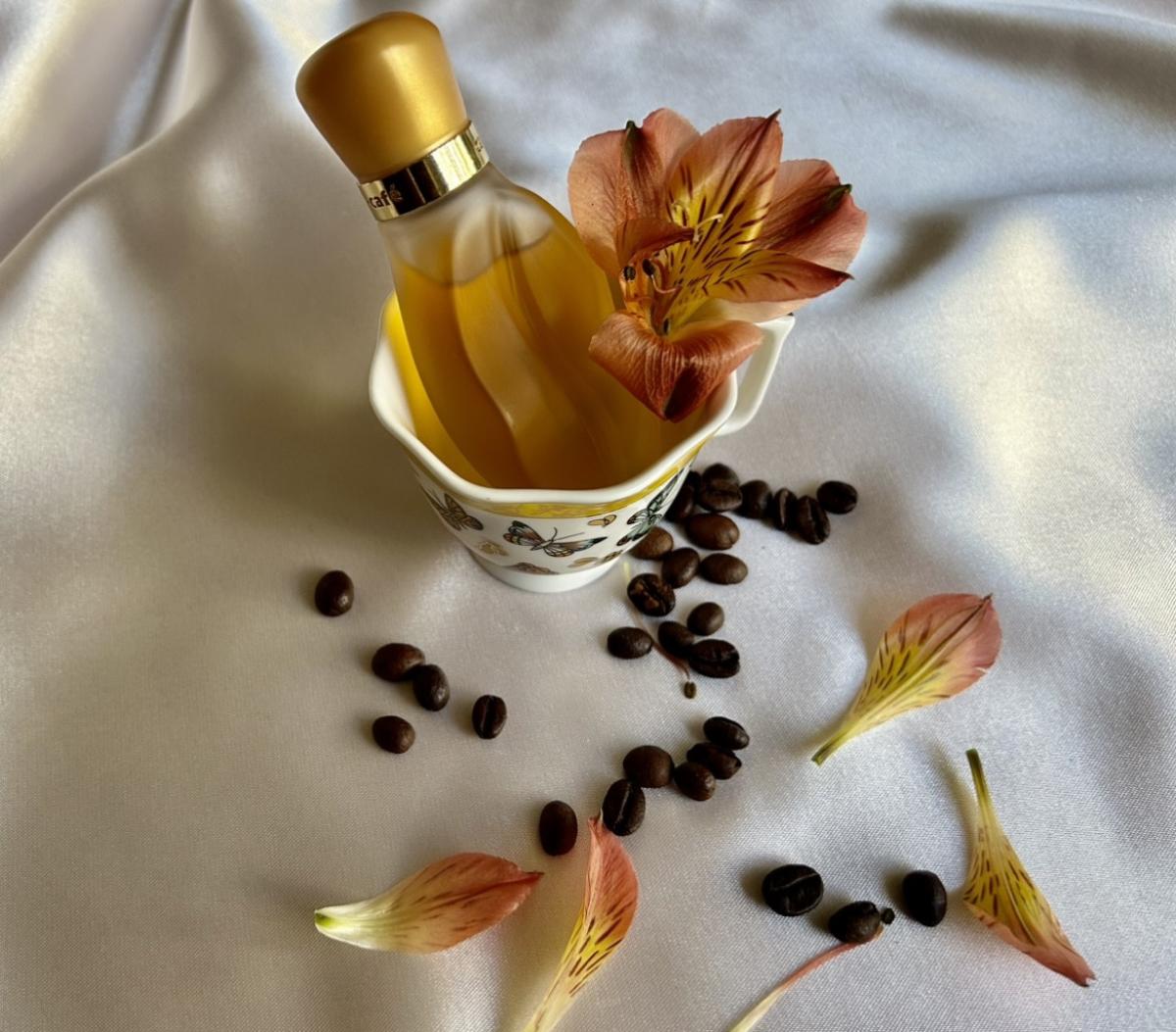 Cafe-Cafe Cafe Parfums parfum - un parfum pour femme 1996