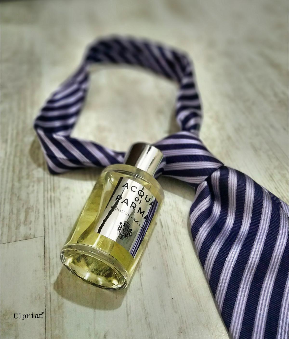 Acqua di Parma Colonia Assoluta Acqua di Parma аромат — аромат для ...