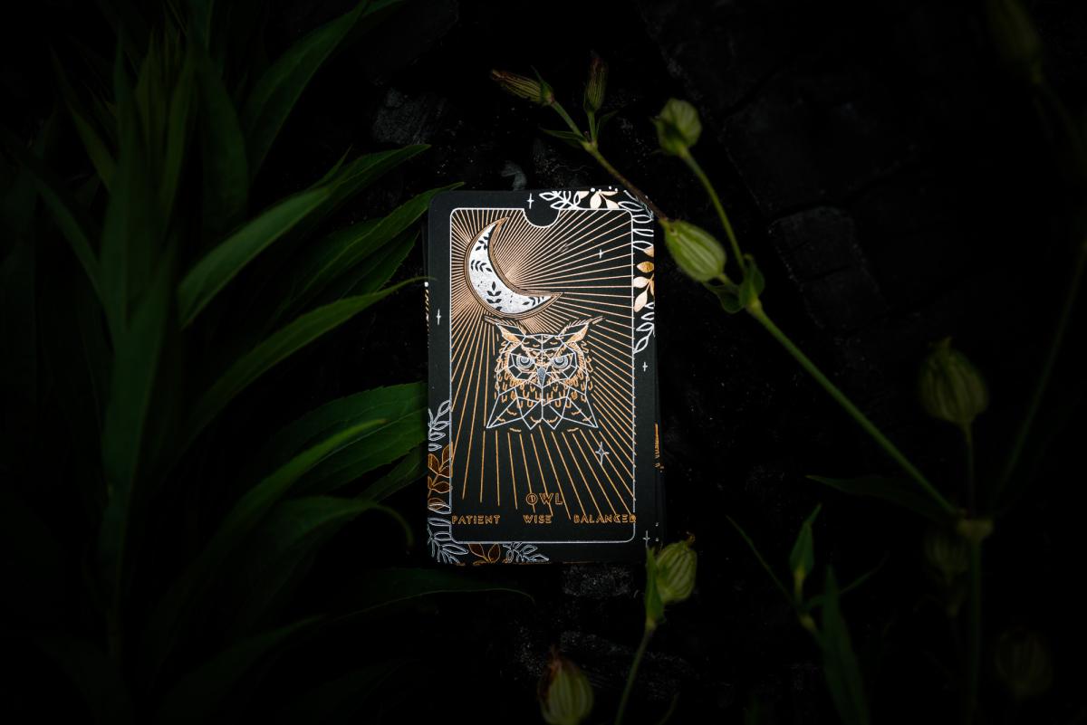 Apex Roja Dove Colônia - a novo fragrância Masculino 2022