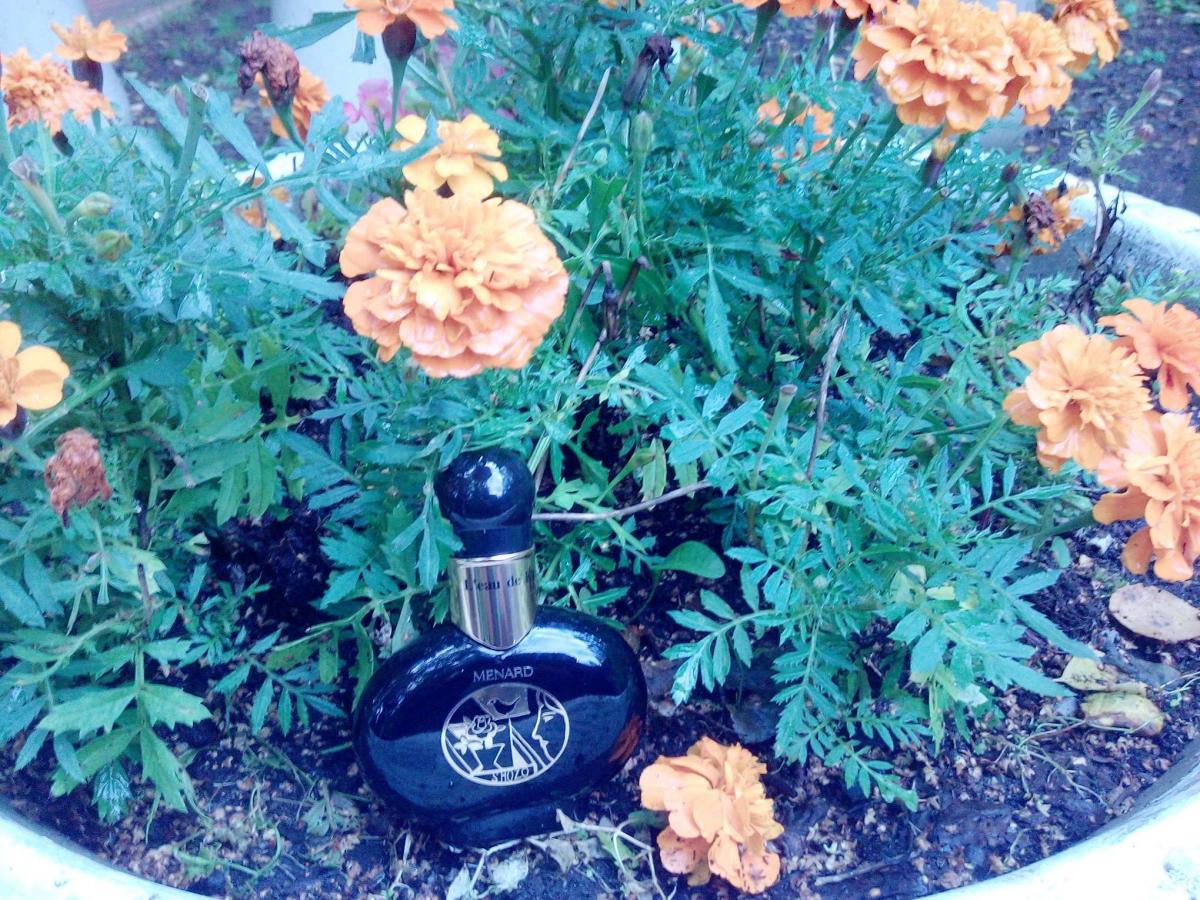 L'eau de Kasaneka Menard аромат — аромат для женщин 2004