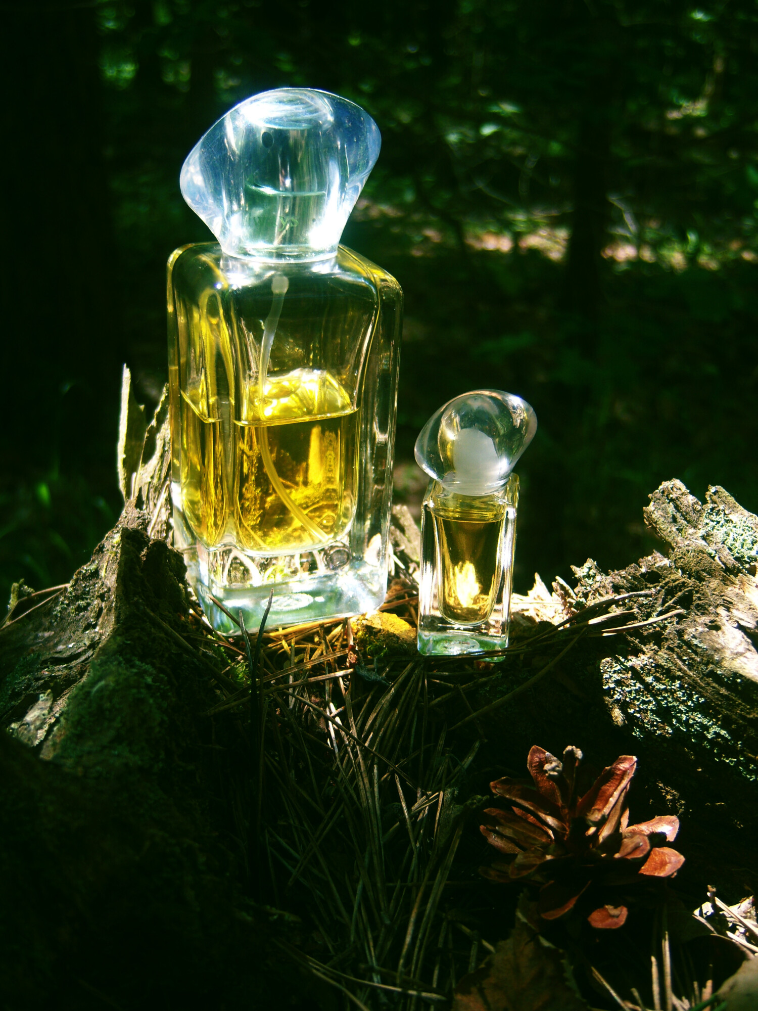 Always Avon perfume - a fragrância Feminino 2005