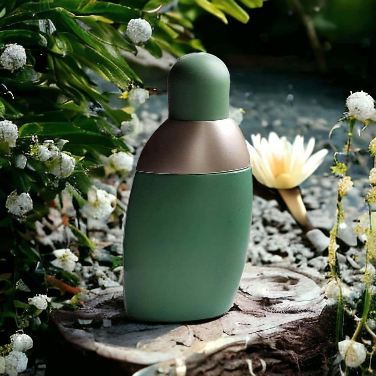 Eden Cacharel perfume - a fragrância Feminino 1994