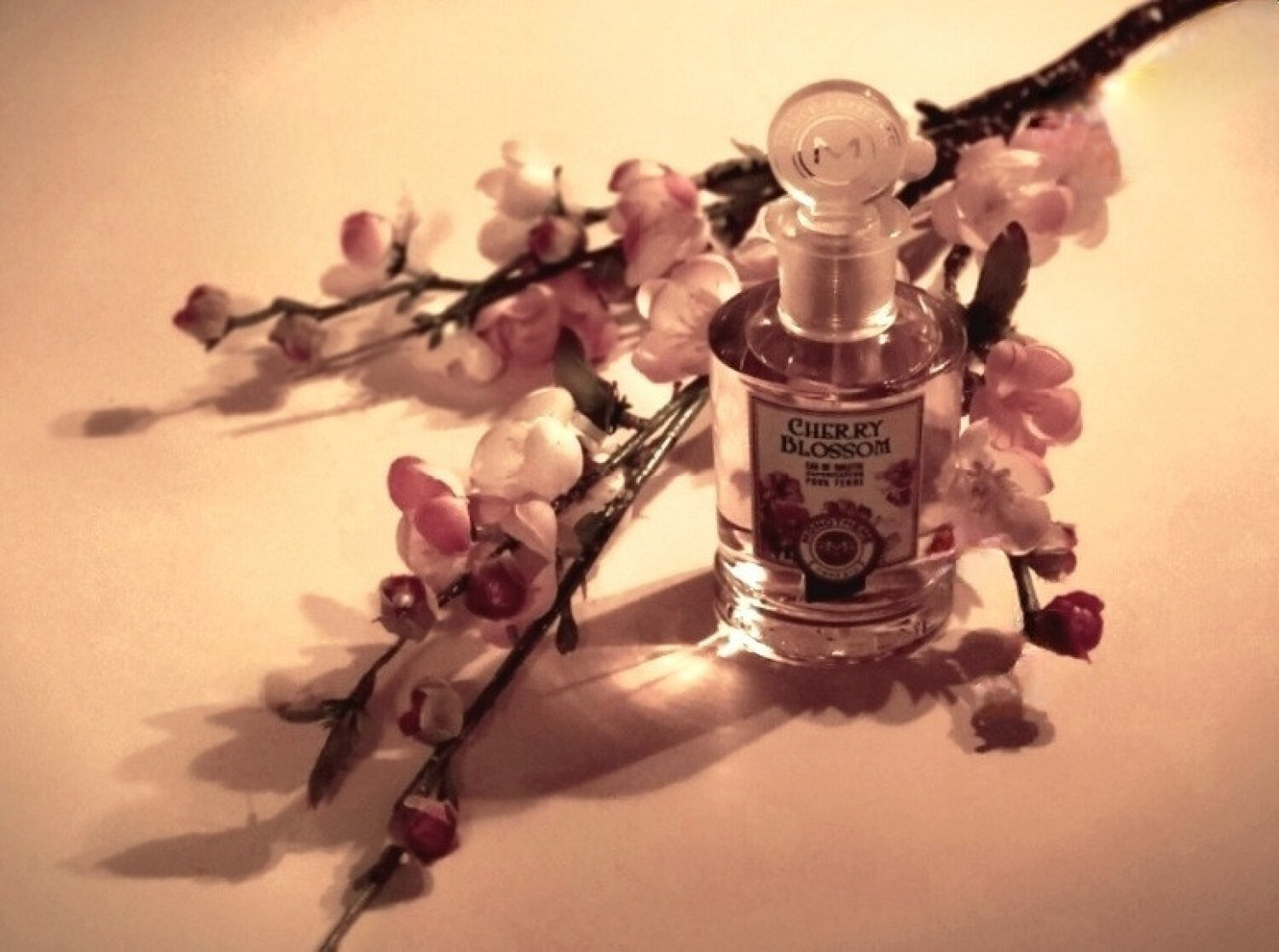 Cherry Blossom Monotheme Venezia عطر - a fragrance للنساء 2019