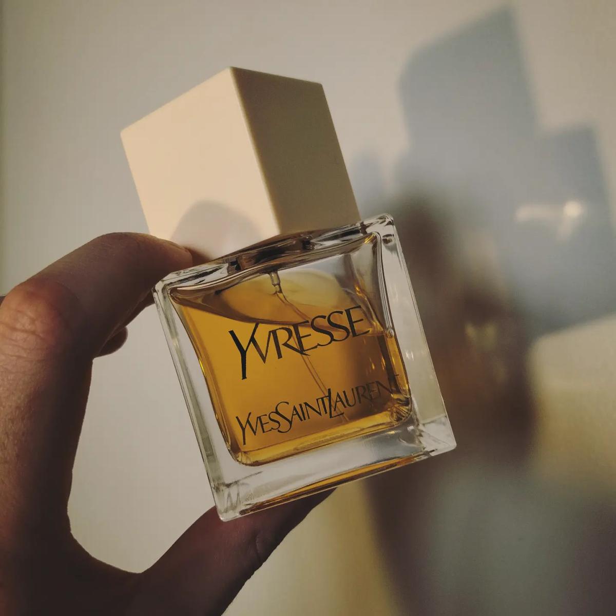 La Collection Yvresse Yves Saint Laurent - una fragranza da donna 2011