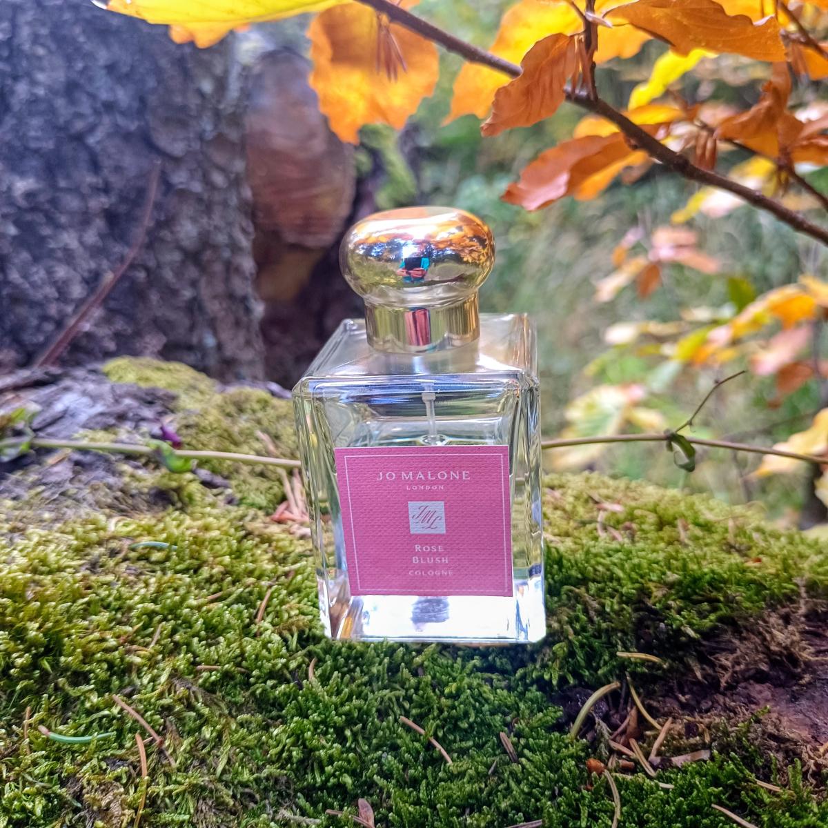 Rose Blush Cologne (2023) Jo Malone London perfume - a novo fragrância ...