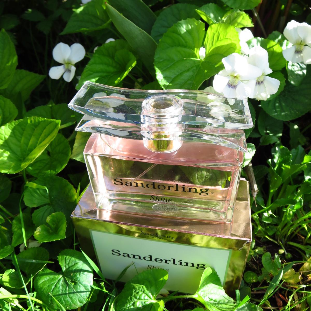 Sanderling Shine Yves de Sistelle fragancia - una fragancia para Mujeres