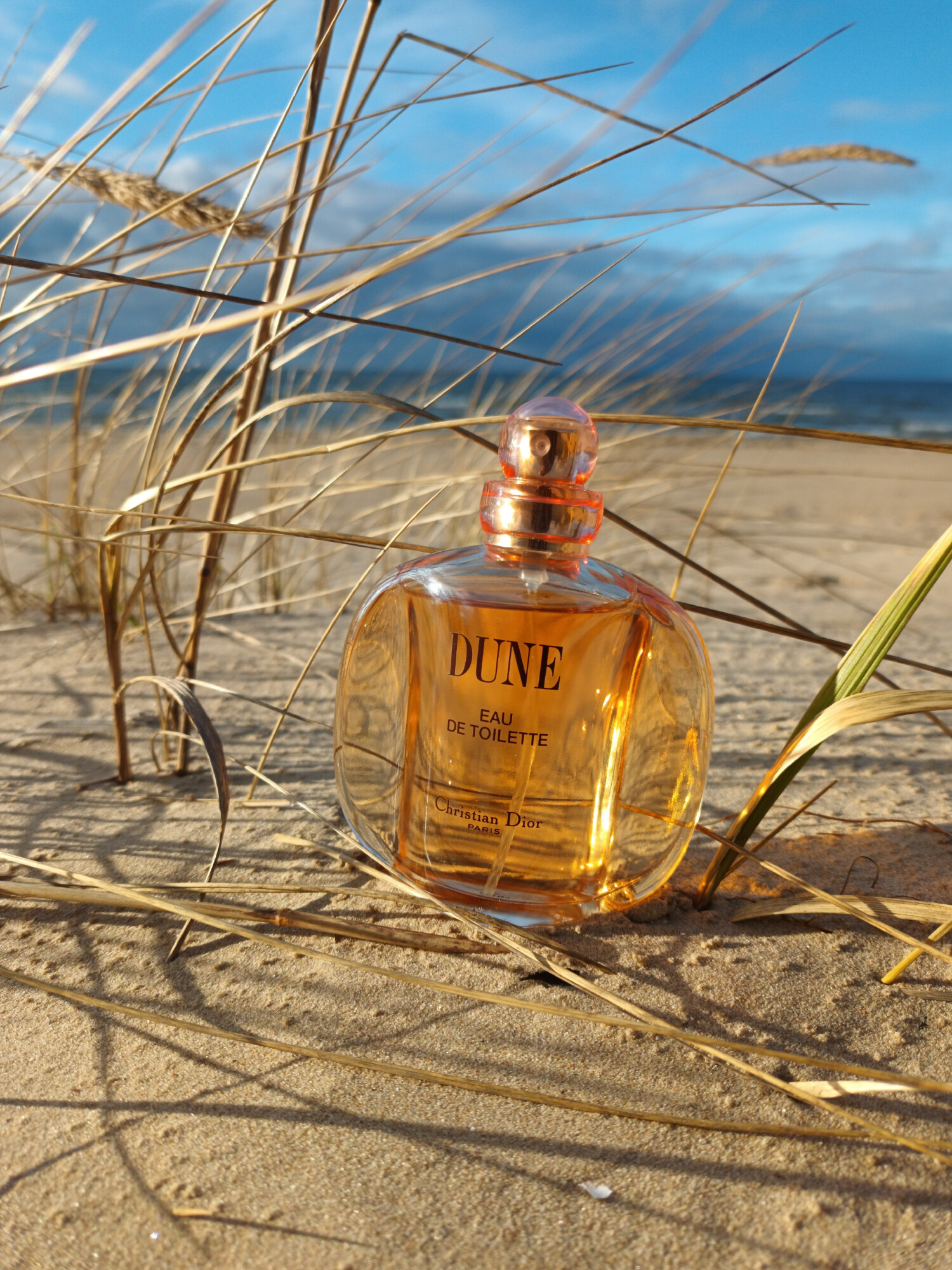 Dune Dior perfume - a fragrância Feminino 1991