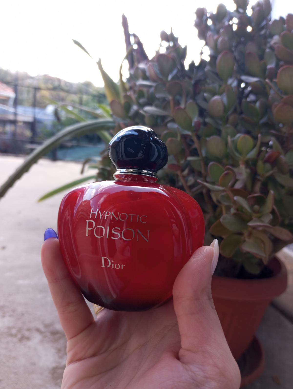 Hypnotic Poison Dior perfume - a fragrância Feminino 1998