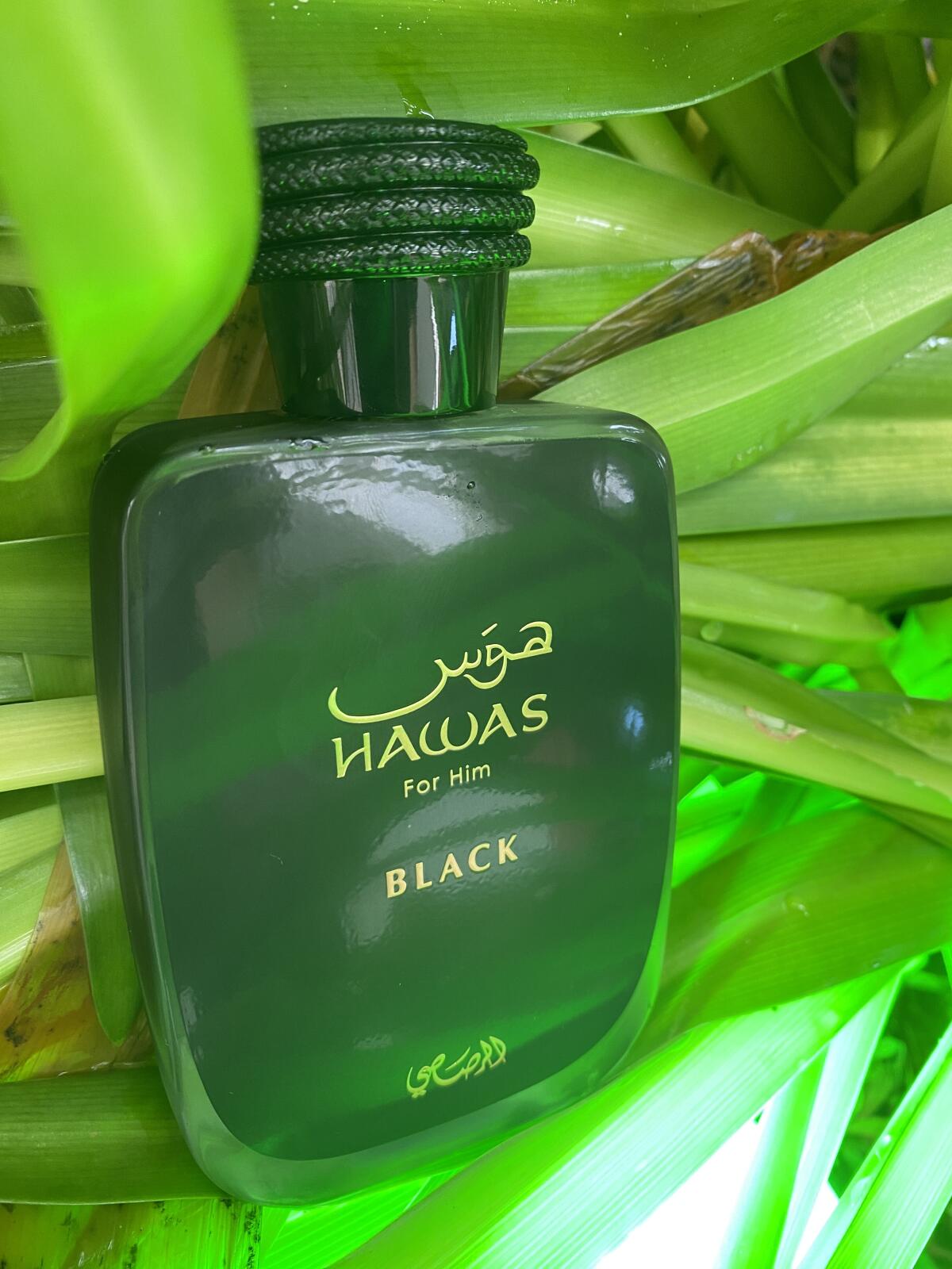 Hawas Black Rasasi zapach - to nowe perfumy dla mężczyzn 2024