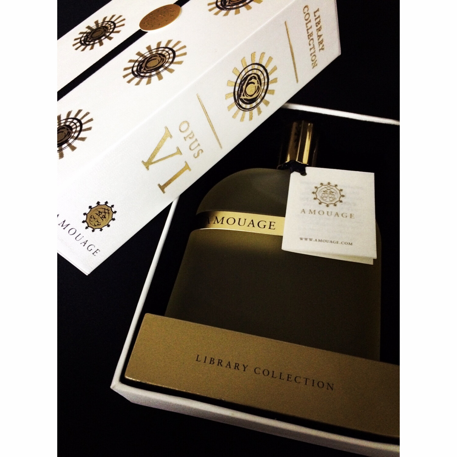 The Library Collection Opus VI Amouage parfum - un parfum pour homme et ...