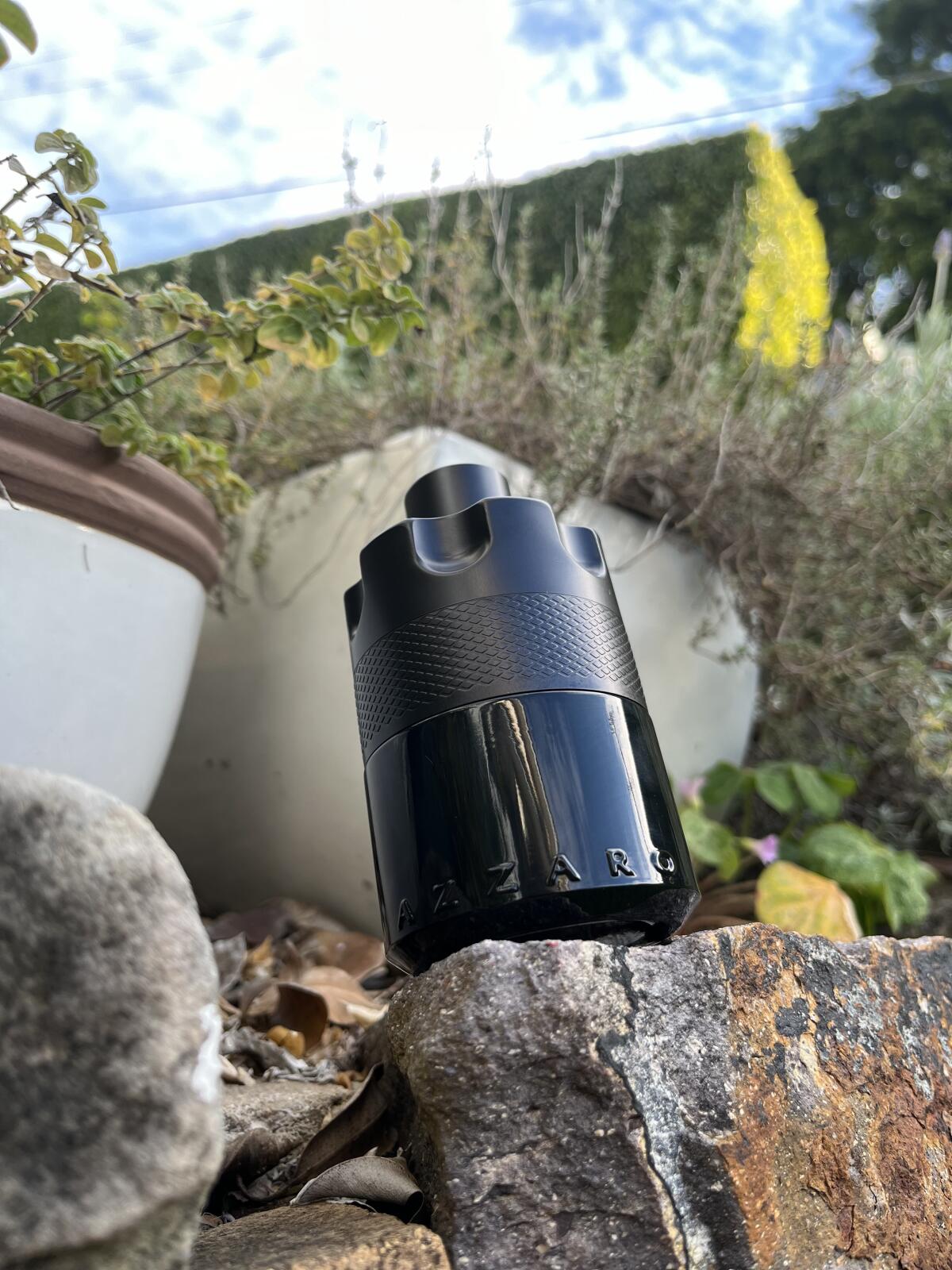 The Most Wanted Azzaro Colonia - una fragancia para Hombres 2021