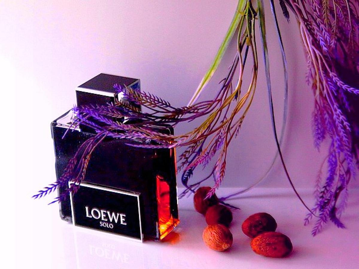 Solo Loewe Loewe Colonia - una fragancia para Hombres 2004