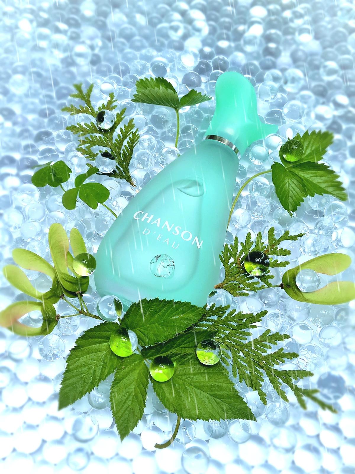 Chanson d'Eau Coty parfum - un parfum pour femme 1995