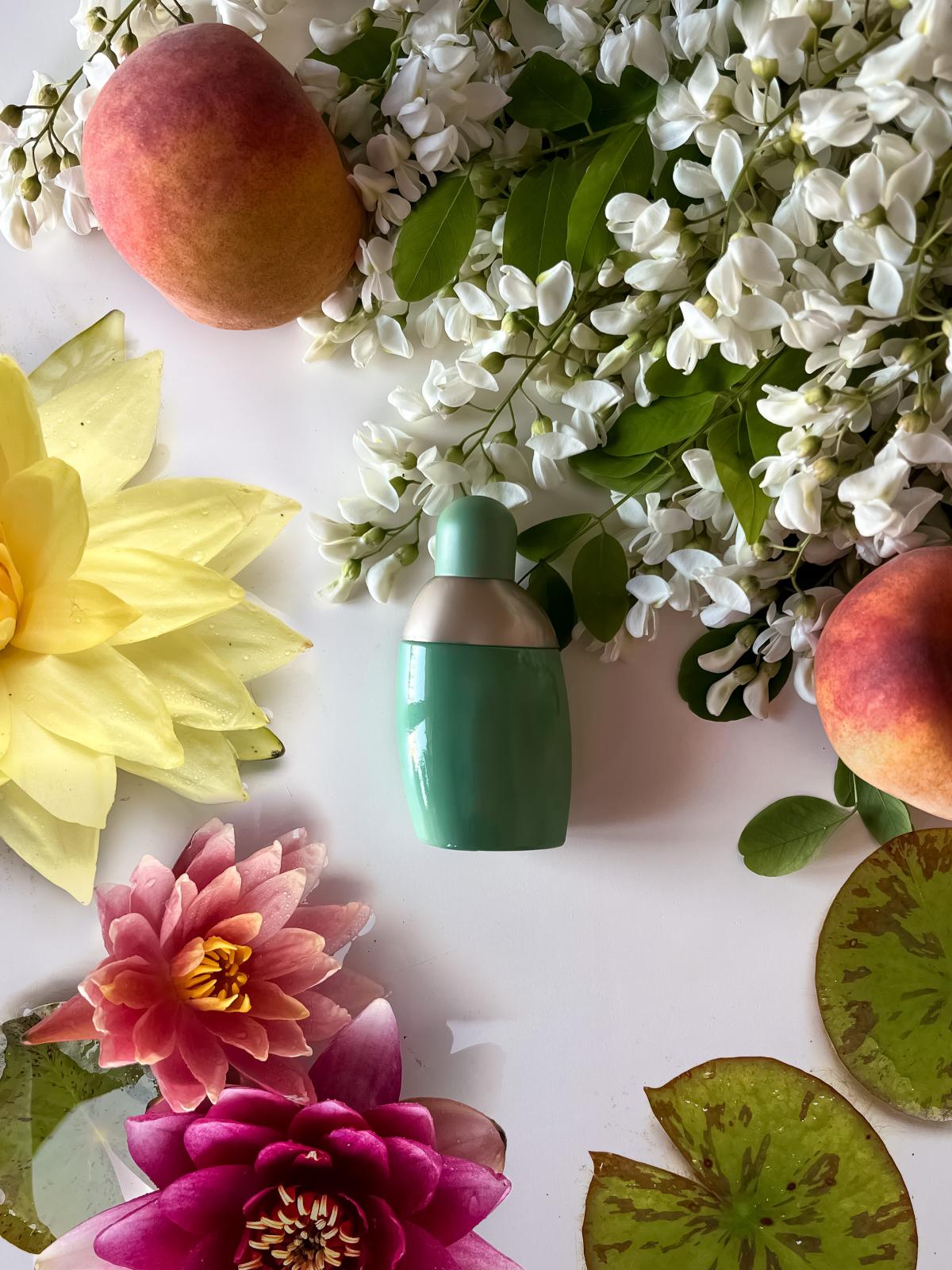 Eden Cacharel perfume - a fragrância Feminino 1994