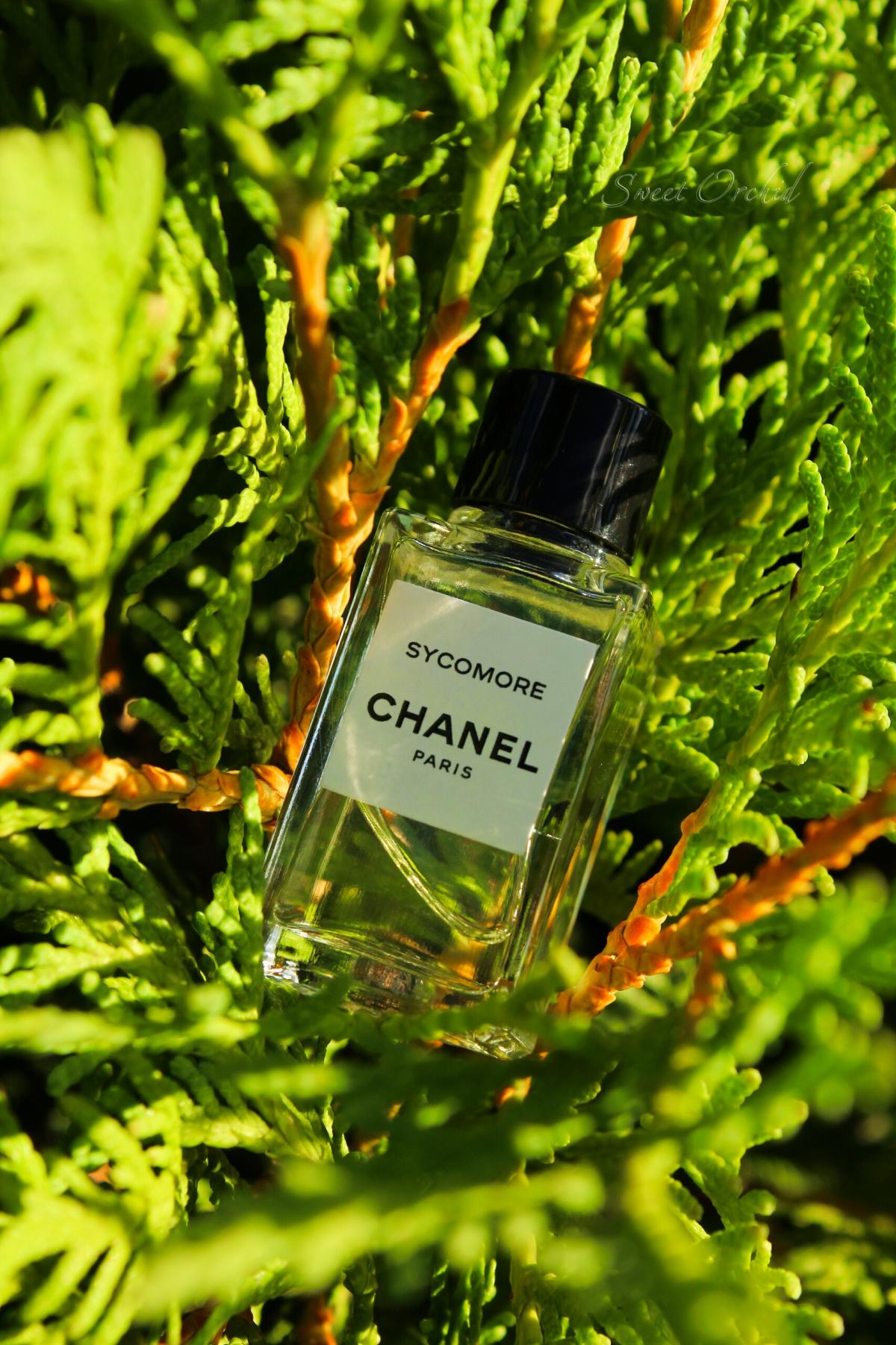 Les Exclusifs de Chanel Sycomore Chanel fragancia - una fragancia para ...