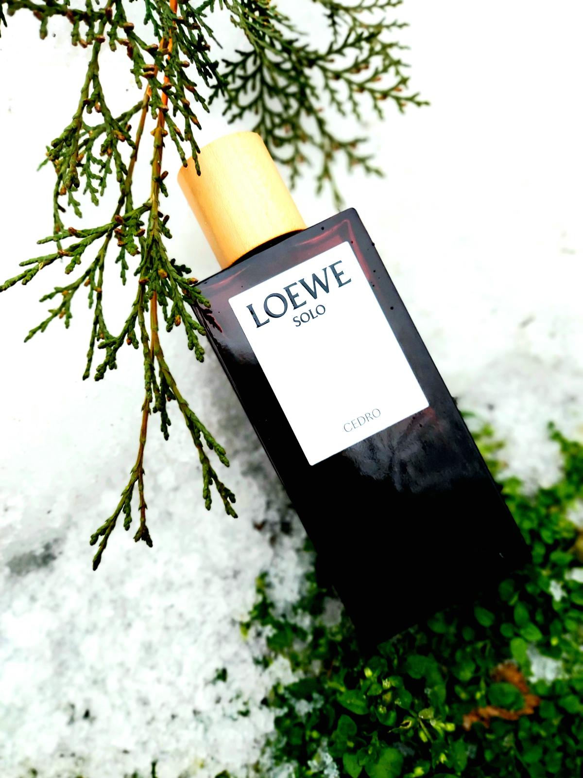 Solo Loewe Cedro Loewe Colônia - a fragrância Masculino 2015