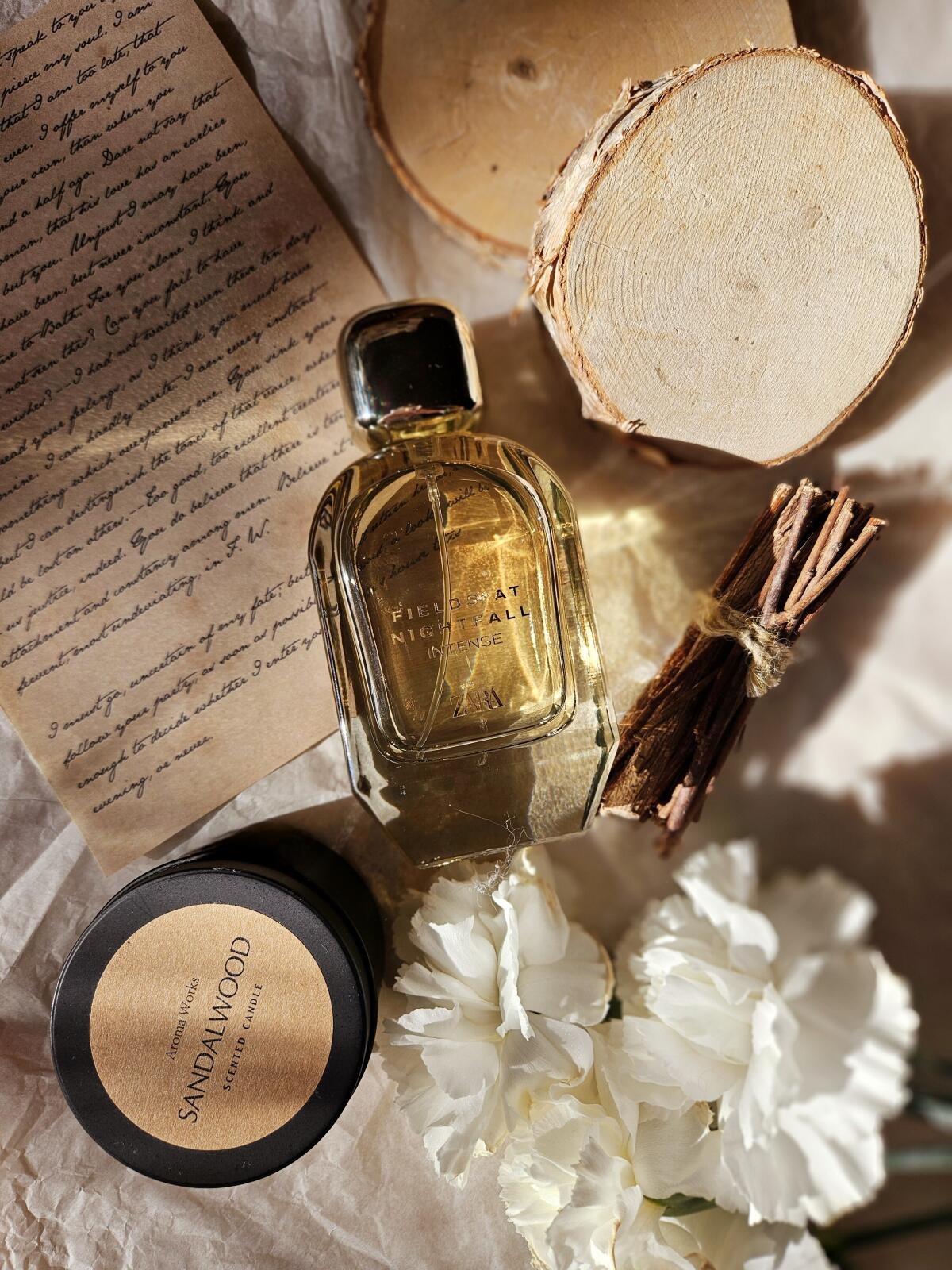 Fields at Nightfall Intense Zara сүрчиг - a шинэ сүрчиг эмэгтэй 2024