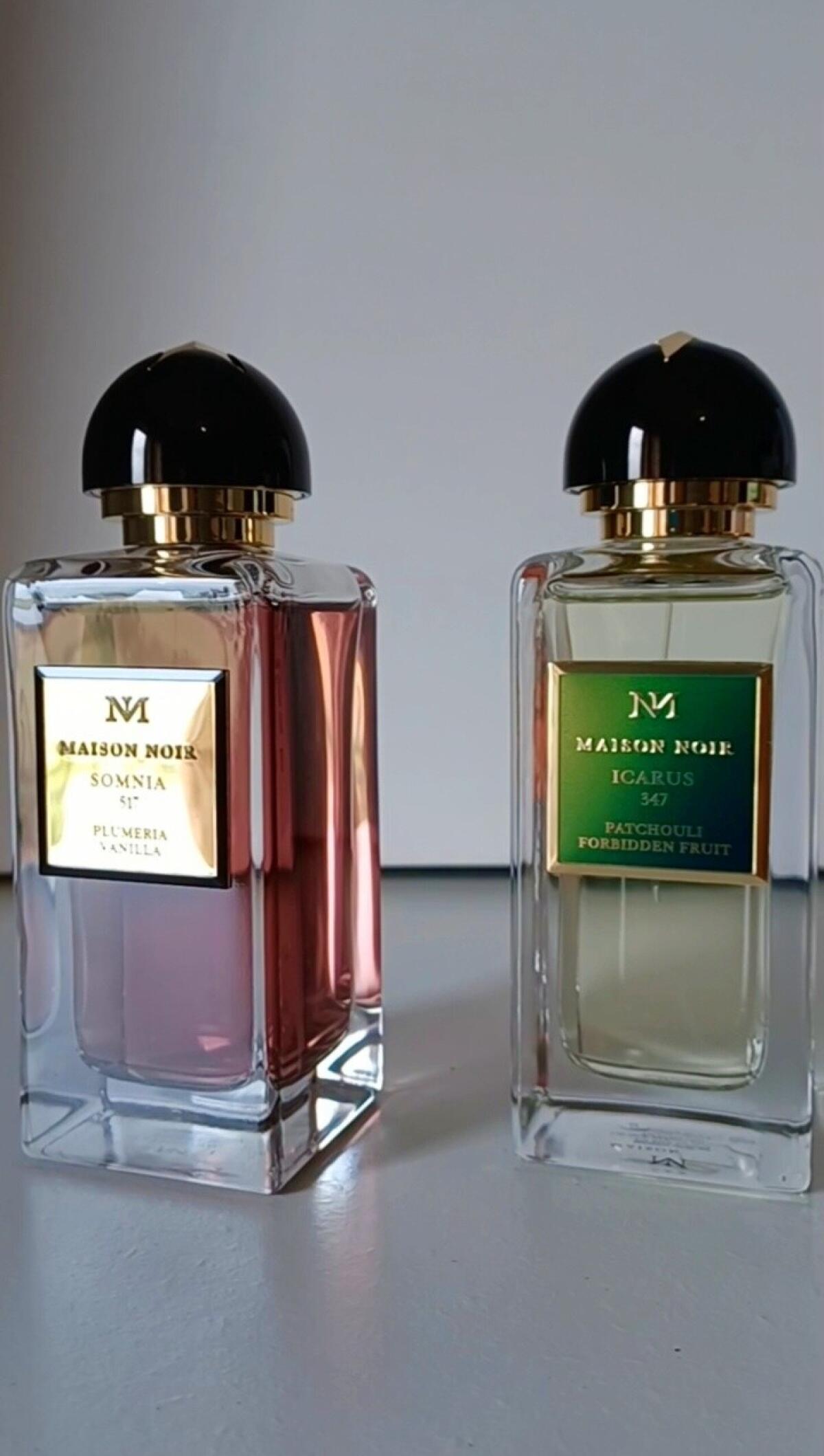Somnia 517 Maison Noir Parfum - ein neues Parfum für Frauen und Männer 2023