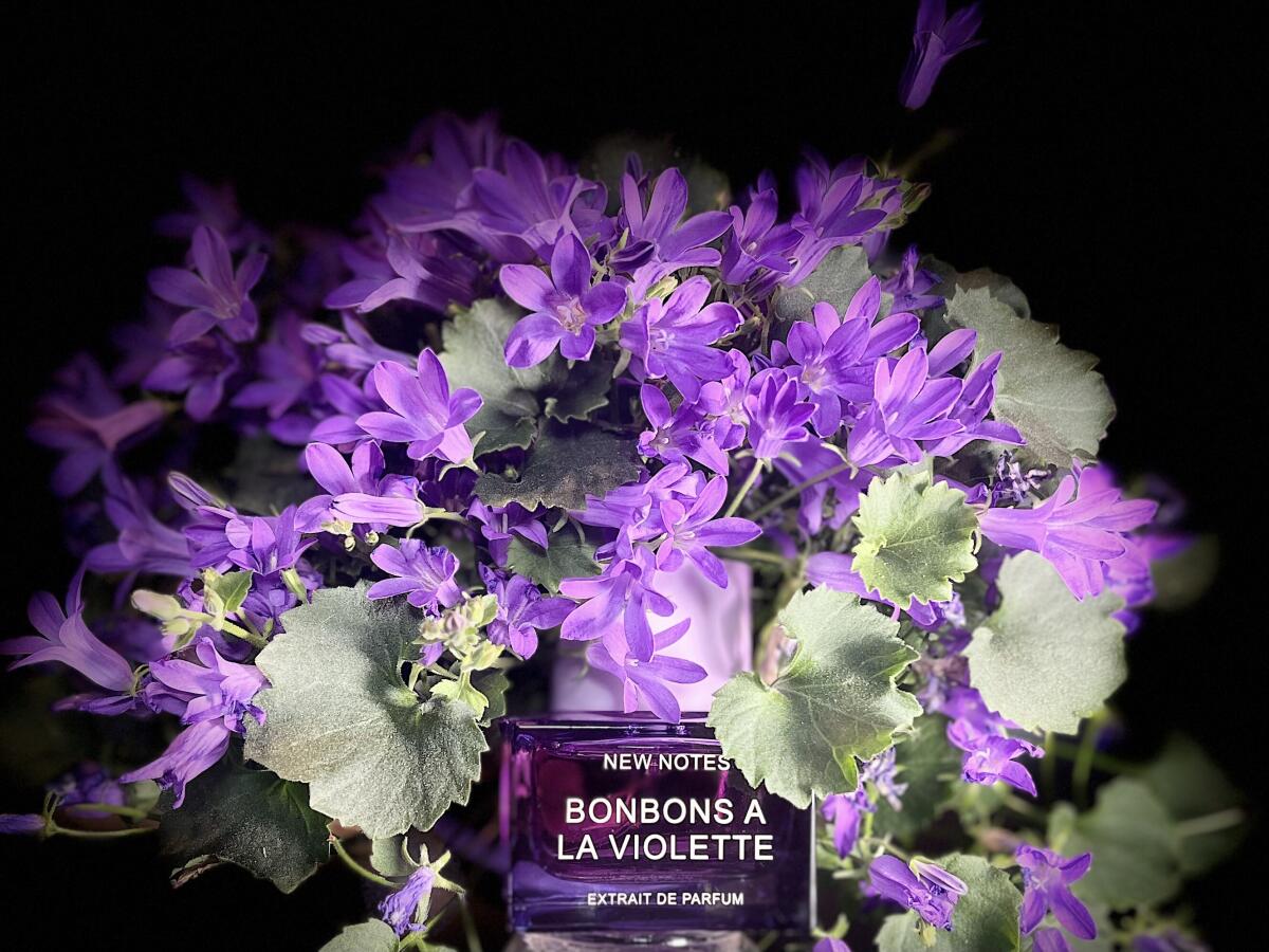 Bonbons A La Violette New Notes parfum - un nouveau parfum pour homme ...