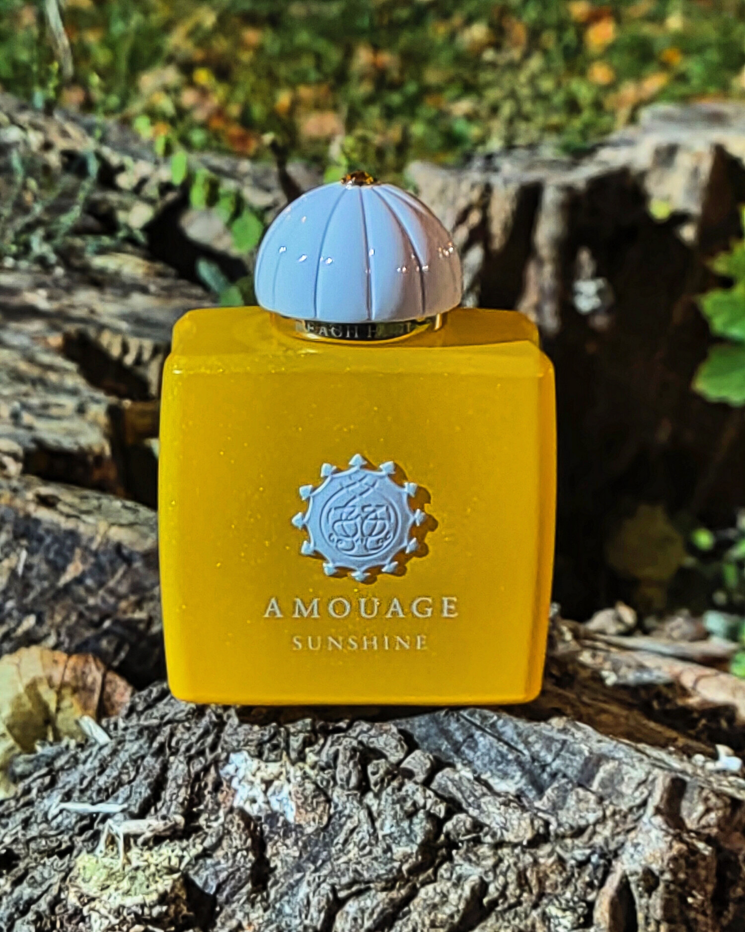 Sunshine Woman Amouage fragancia - una fragancia para Mujeres 2014