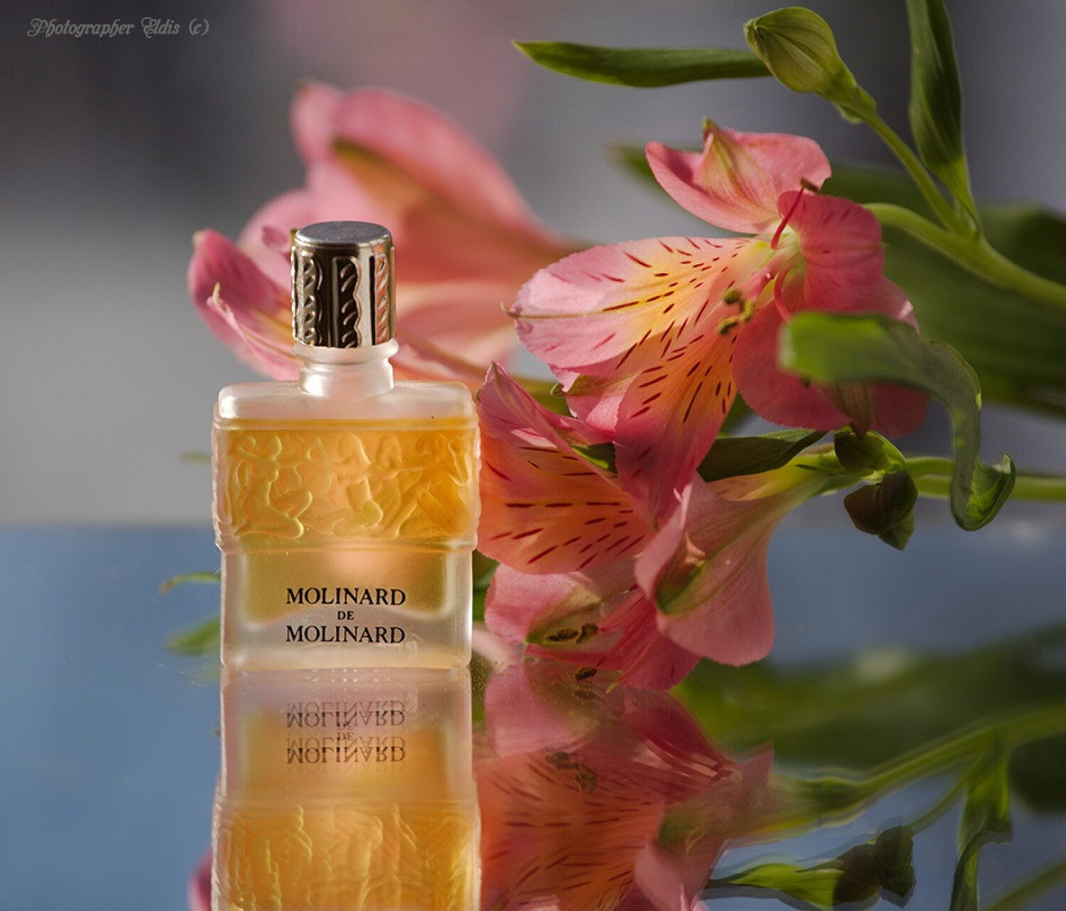 Molinard de Molinard Molinard fragancia - una fragancia para Mujeres 1979